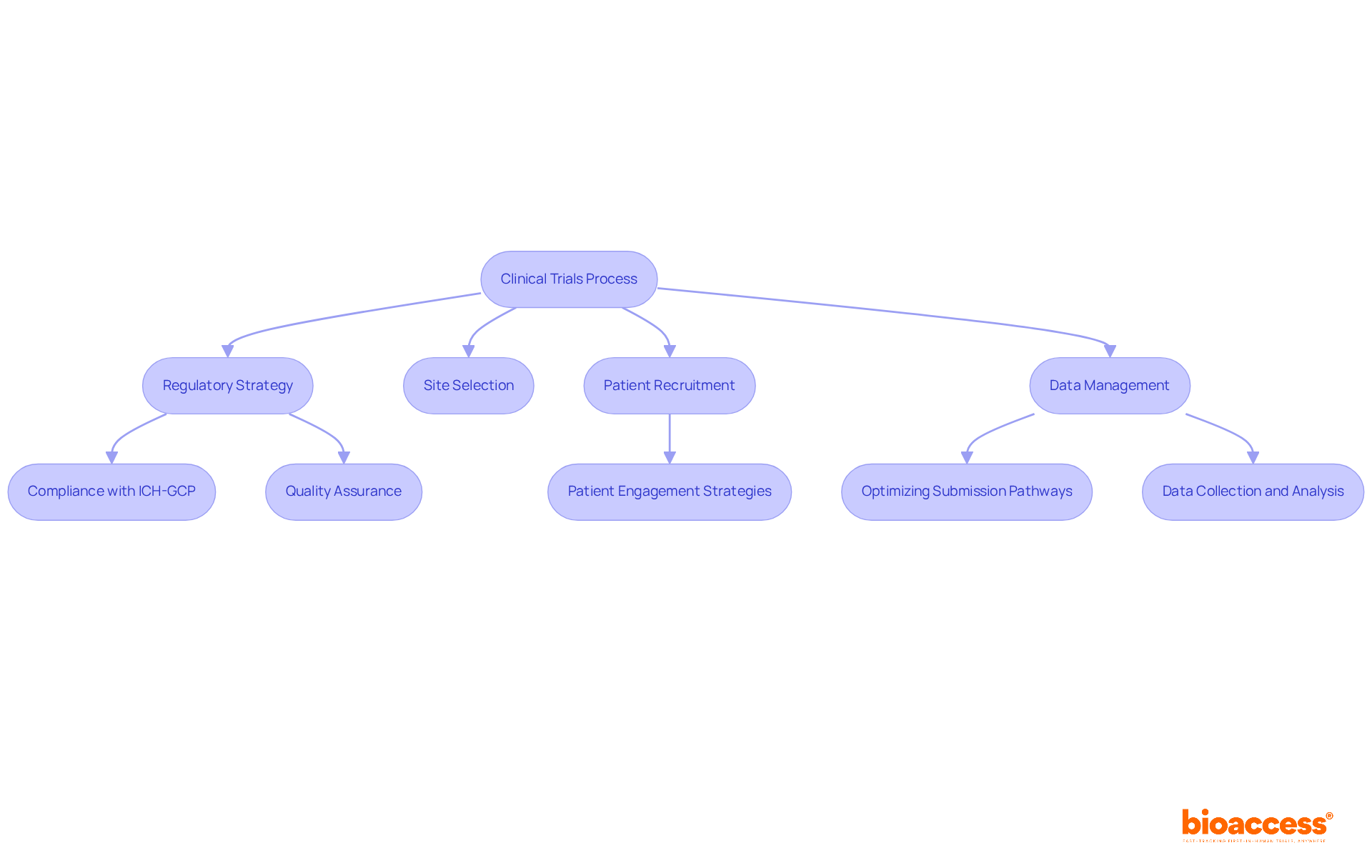 This flowchart illustrates the key components of the clinical trials process. Each box represents a critical area of focus, and the arrows show how these areas connect and contribute to the overall success of clinical trials.