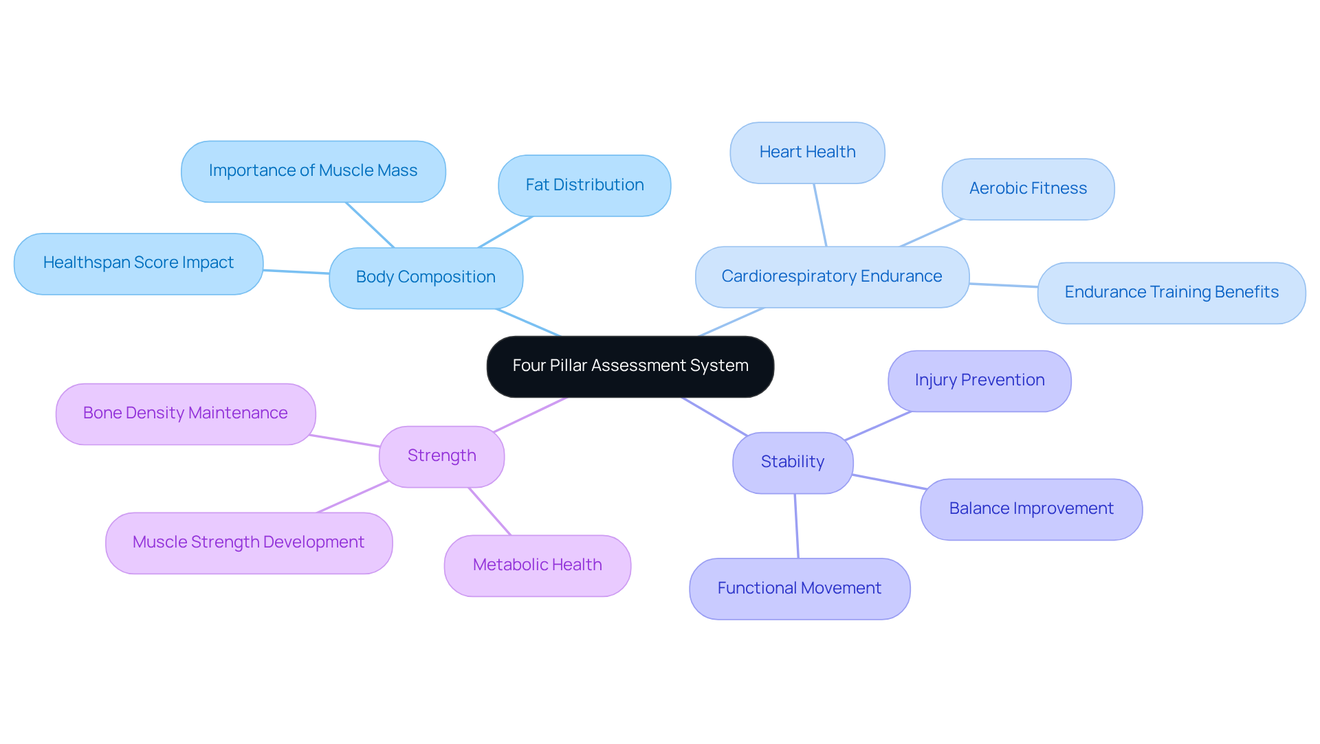 The central node represents the assessment system, while the branches show the four key areas of wellness. Each area is crucial for a holistic approach to health, and the sub-branches highlight how they contribute to personalized training.