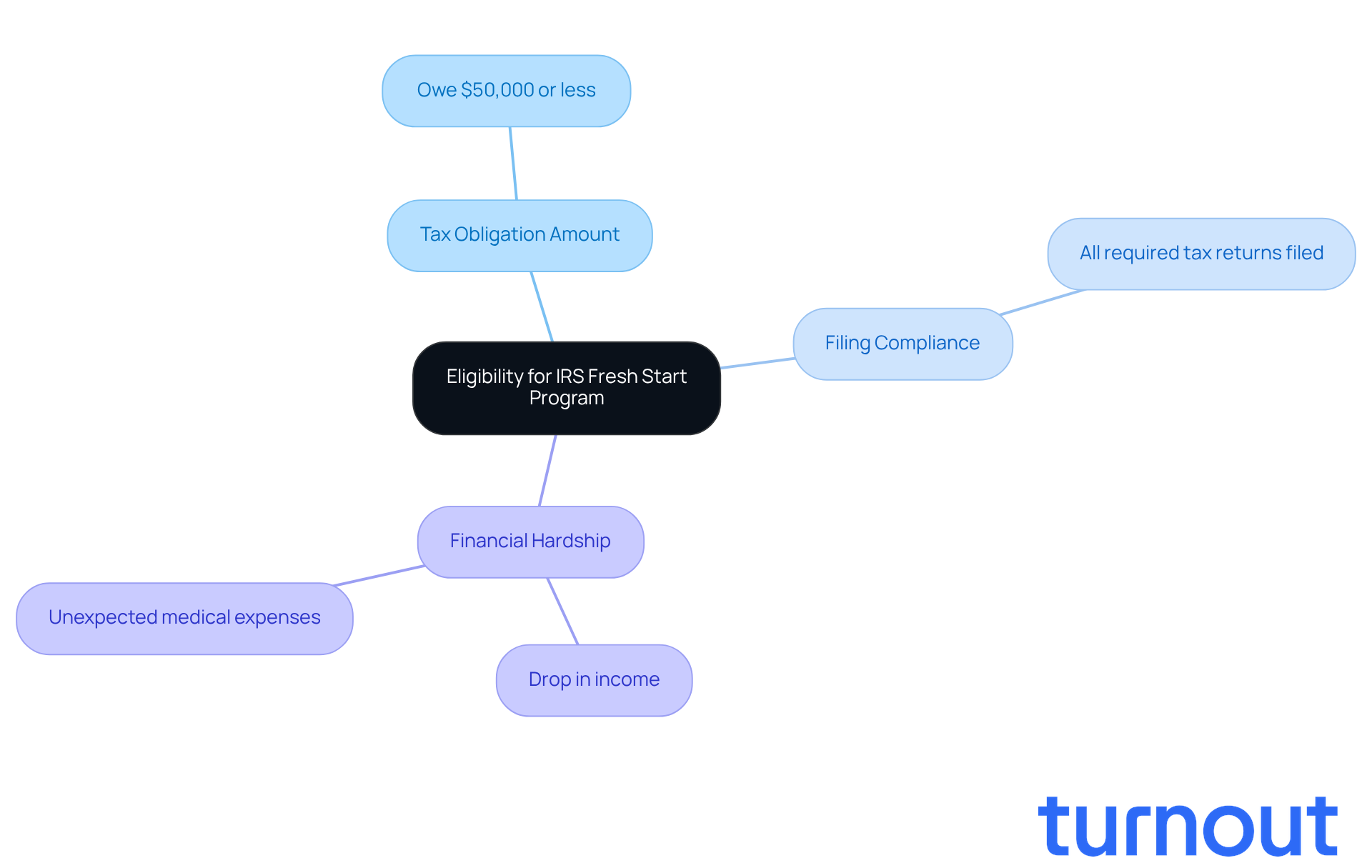 The central node represents the program's eligibility. Each branch shows a key requirement, and the sub-branches provide more details or examples to help you understand what you need to qualify.