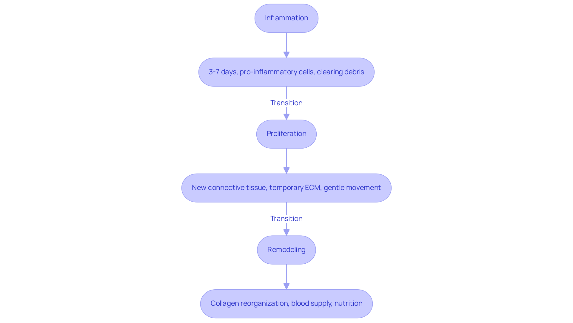 This flowchart outlines the healing journey of a tendon injury. Each box represents a phase of healing, with arrows showing how they connect. The notes under each phase highlight important actions and factors that contribute to recovery.