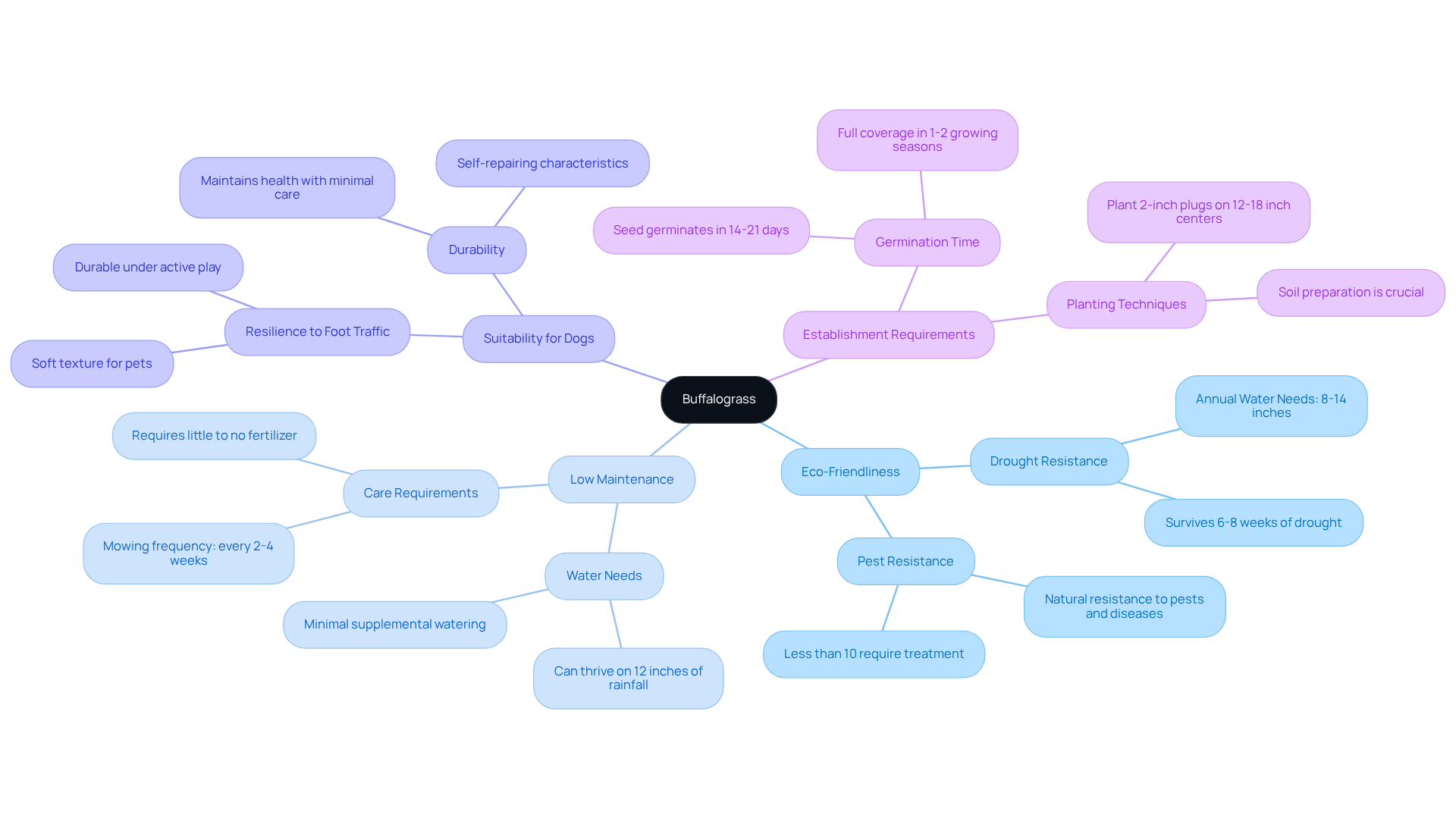 This mindmap illustrates the key features of Buffalograss. Start at the center with the main topic, then explore its eco-friendly aspects, low maintenance needs, suitability for dogs, and establishment requirements. Each branch represents a different benefit or characteristic, making it easy to see how they connect. This mindmap illustrates the key features of Buffalograss. Start at the center with the main topic, then explore its eco-friendly aspects, low maintenance needs, suitability for dogs, and establishment requirements. Each branch represents a different benefit or characteristic, making it easy to see how they connect.