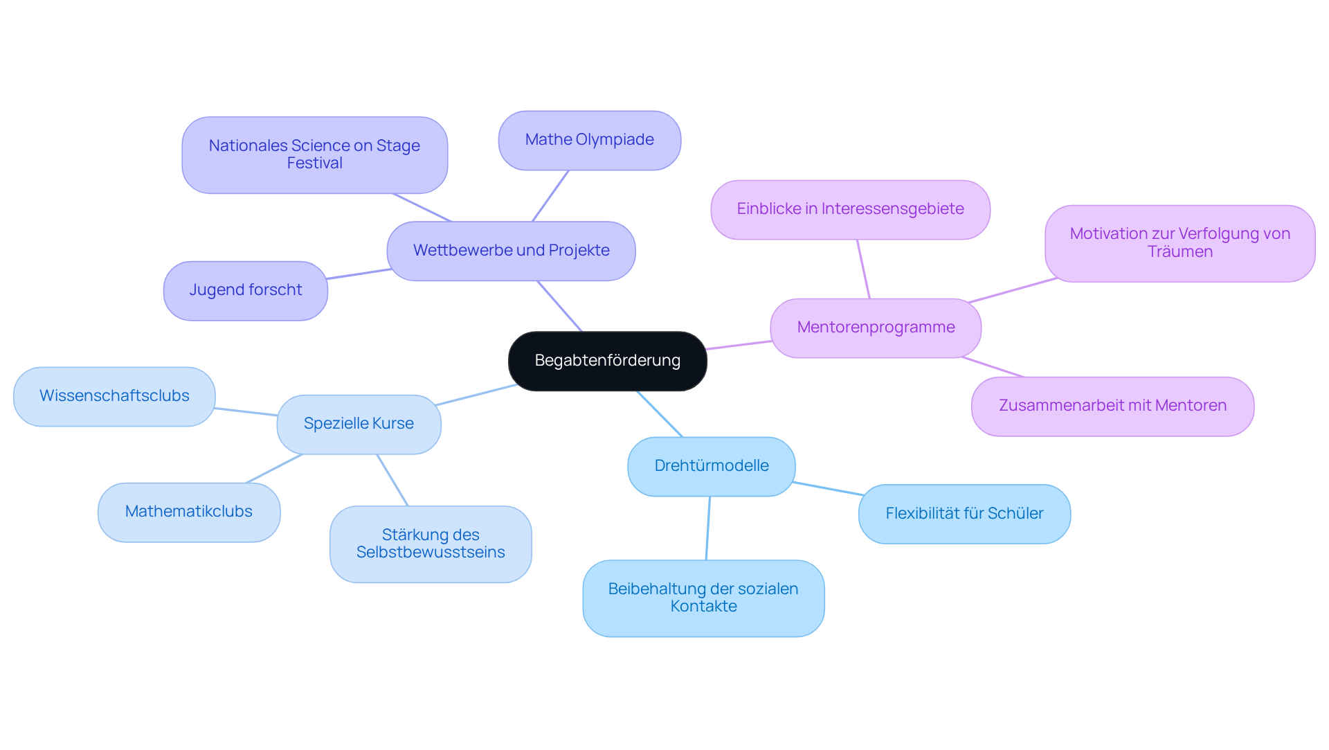 Im Zentrum steht die Begabtenförderung, von der aus verschiedene Programme abzweigen. Jeder Bereich zeigt, wie Schüler unterstützt werden können, um ihre Talente zu entfalten.