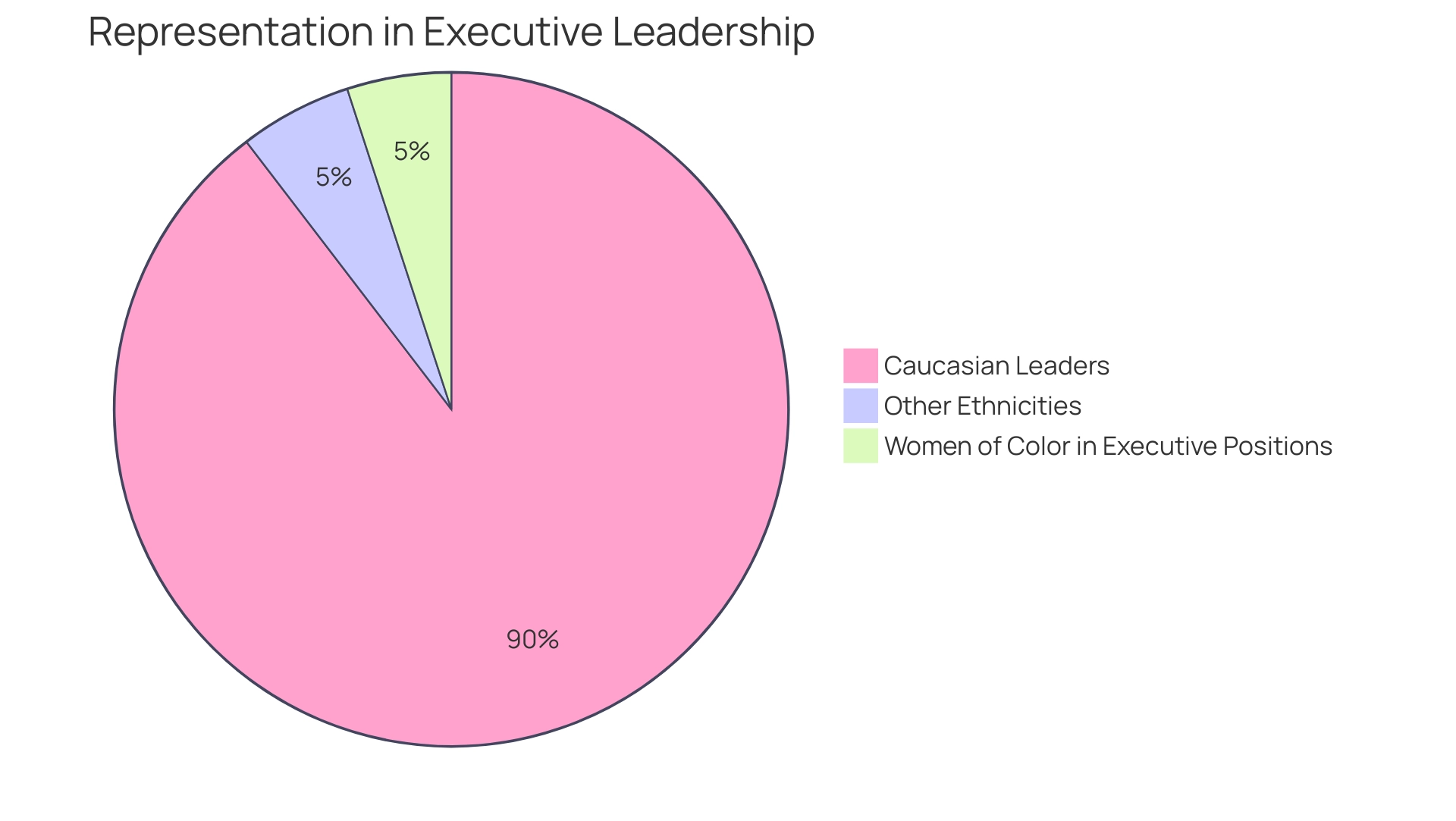 Each segment of the pie chart represents a demographic group within executive leadership roles, with sizes indicating their respective proportions.