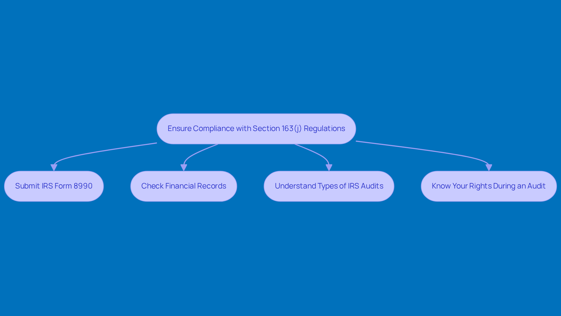 This flowchart guides you through the necessary steps for compliance with IRS regulations. Follow the arrows to see what you need to do, from submitting forms to understanding your rights during an audit.