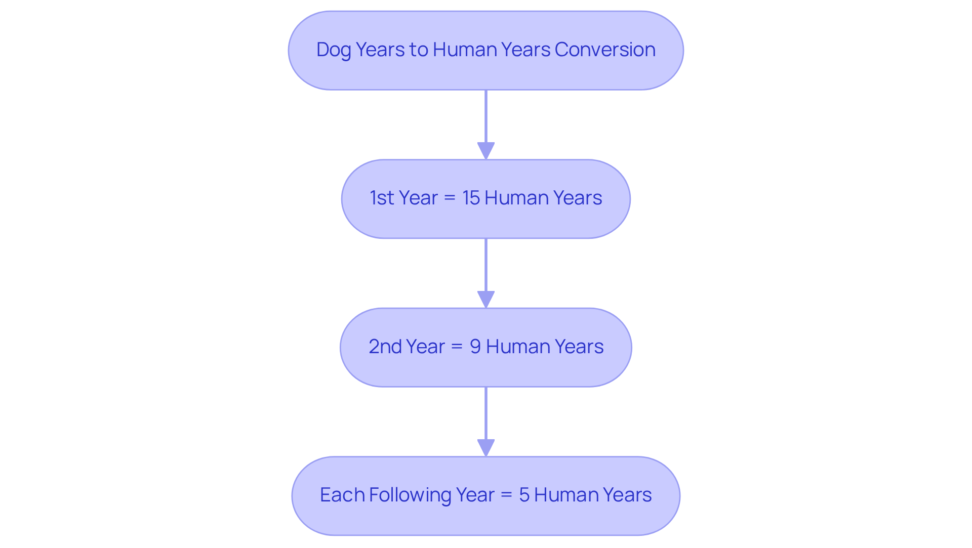 This flowchart guides you through how to calculate a dog's age in human years. Each box represents a stage in a dog's life — follow the arrows to see how many human years correspond to each dog year. This flowchart guides you through how to calculate a dog's age in human years. Each box represents a stage in a dog's life — follow the arrows to see how many human years correspond to each dog year.