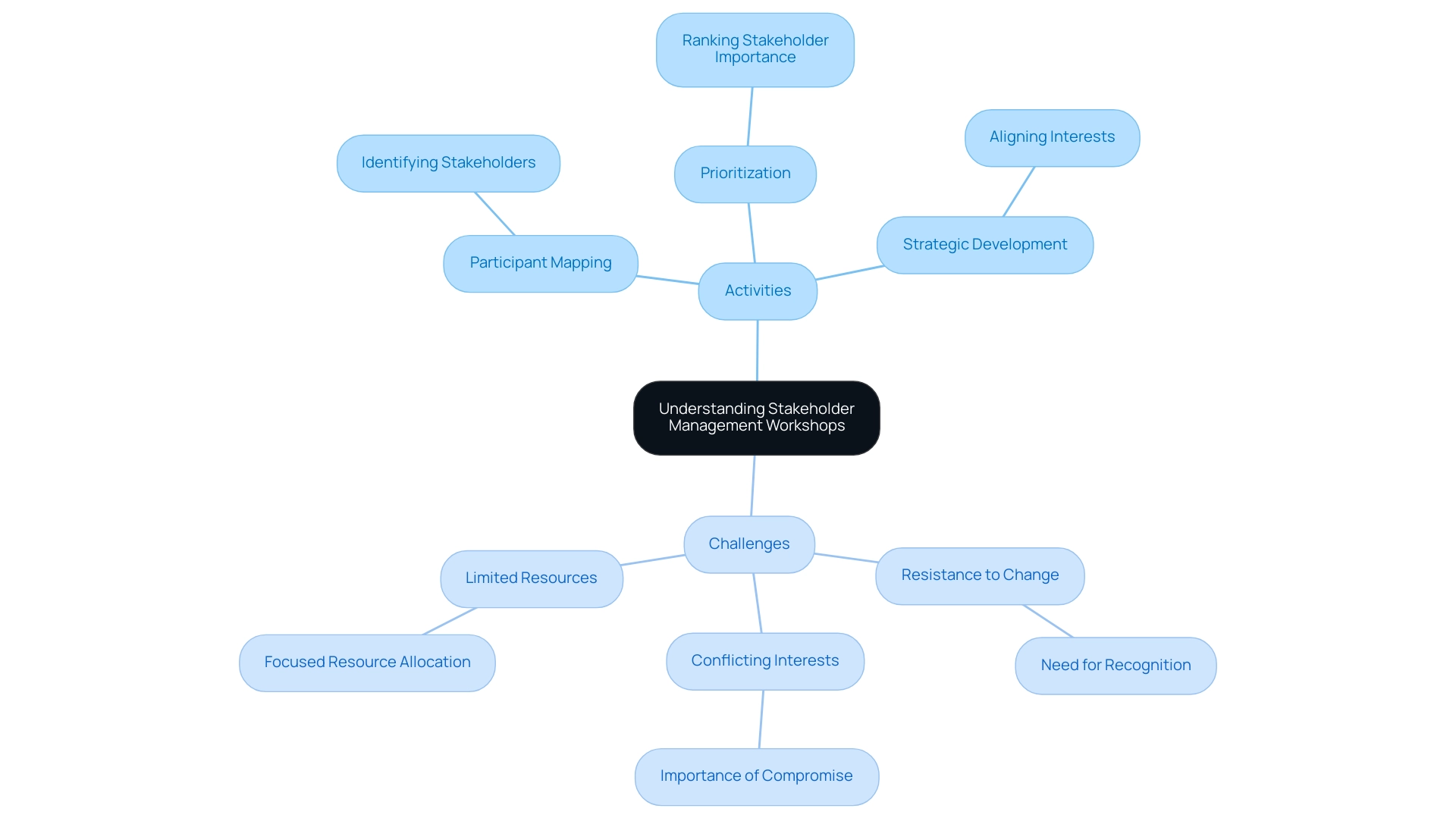 The central node represents stakeholder management workshops, with branches indicating activities and challenges. Different colors distinguish between the two categories.