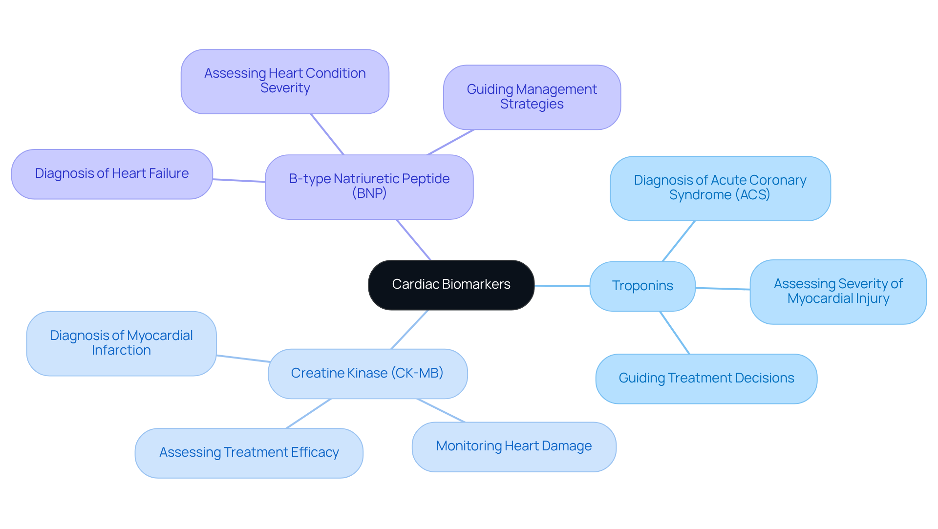 This mindmap starts with the main idea of cardiac biomarkers at the center. Each branch represents a different type of biomarker, and the sub-branches explain their significance in heart disease management. Follow the branches to see how each biomarker contributes to patient care. This mindmap starts with the main idea of cardiac biomarkers at the center. Each branch represents a different type of biomarker, and the sub-branches explain their significance in heart disease management. Follow the branches to see how each biomarker contributes to patient care.