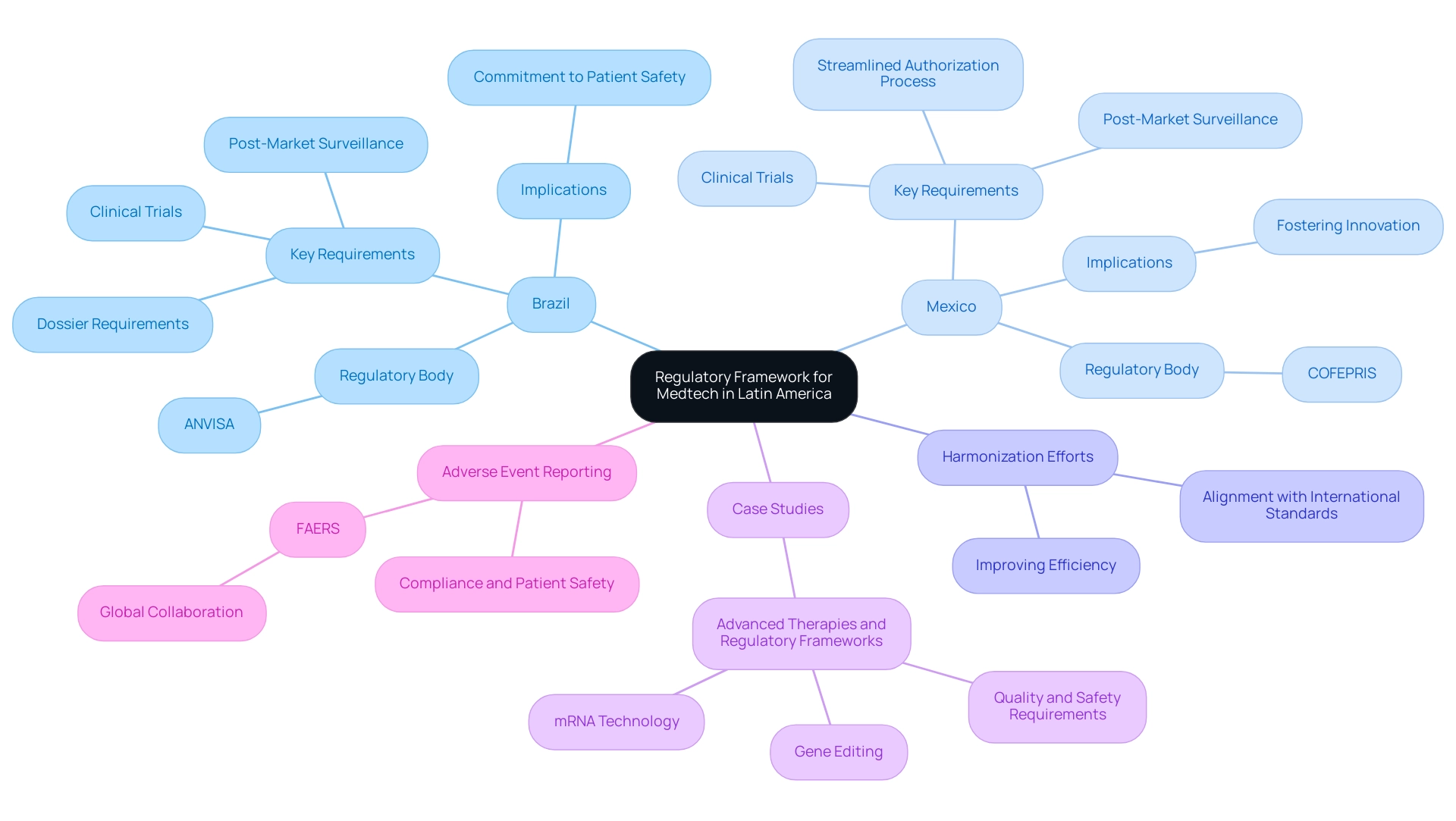 Central node represents the overall framework; branches represent countries, with sub-branches detailing specific regulatory bodies and requirements.