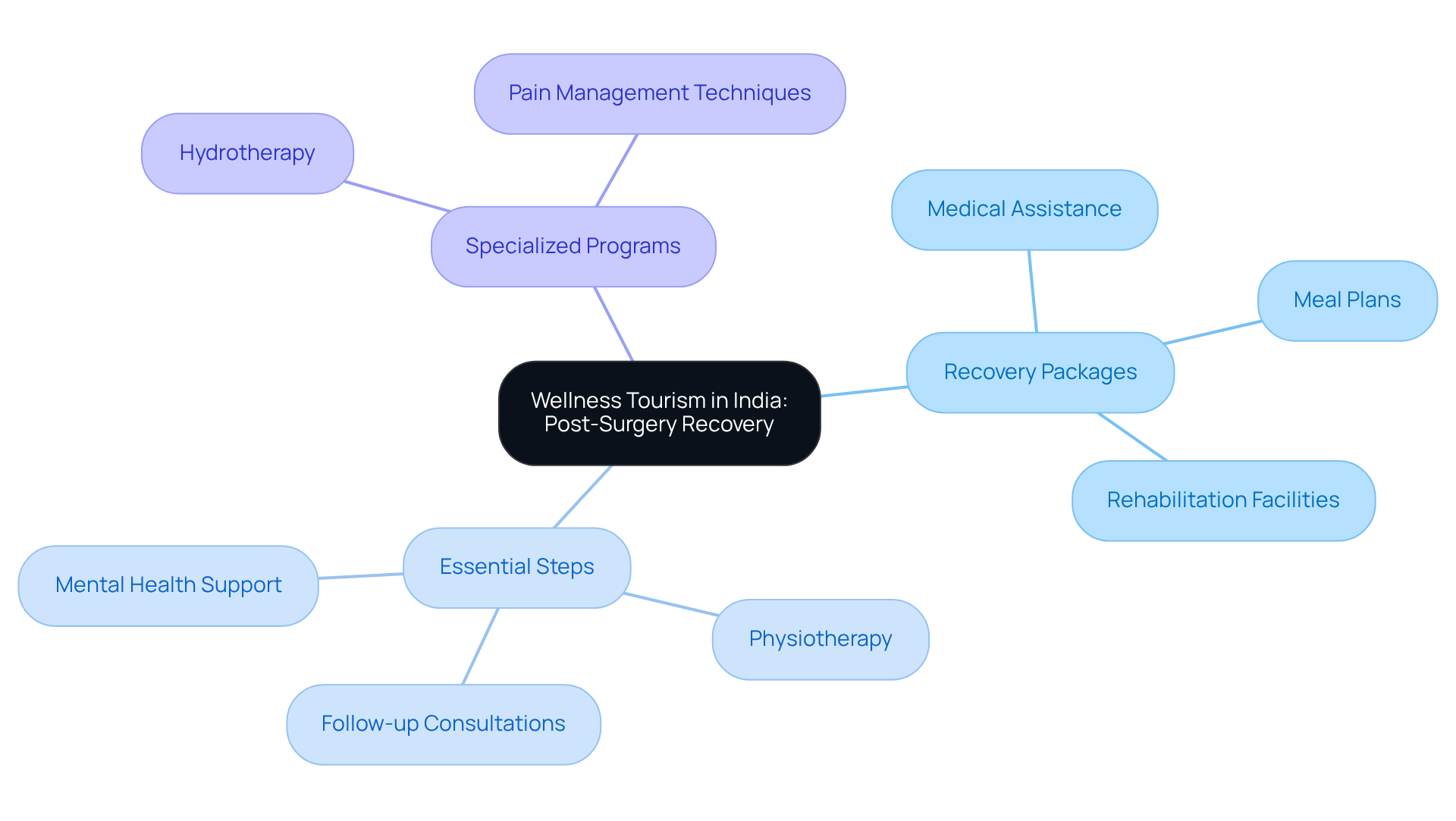 Start at the center with the main theme of wellness tourism for recovery, then explore the branches to see the various services and steps that support patients during their healing journey.