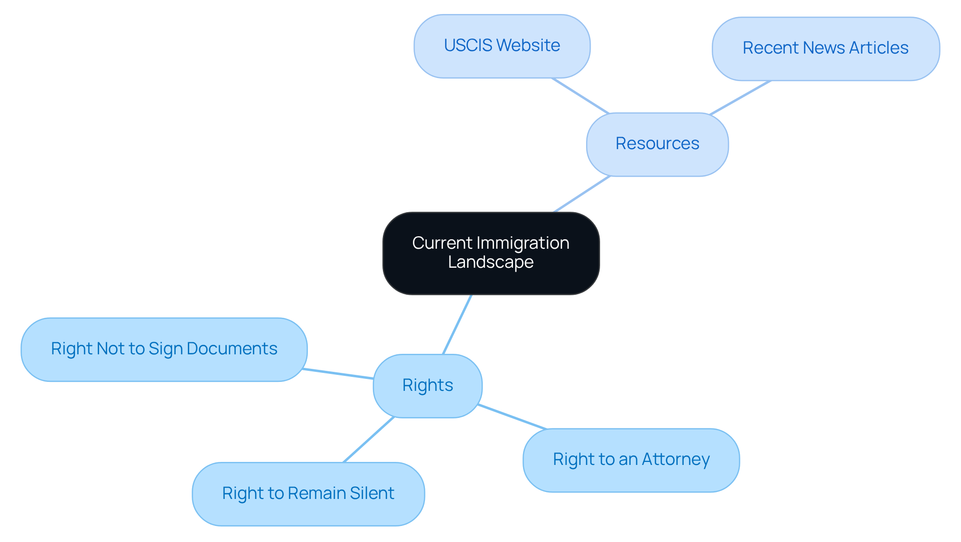 This mindmap starts with the main topic of the immigration landscape. From there, you can see your rights and important resources that can help you. Each branch represents a different aspect of your journey, making it easier to understand what you need to know.