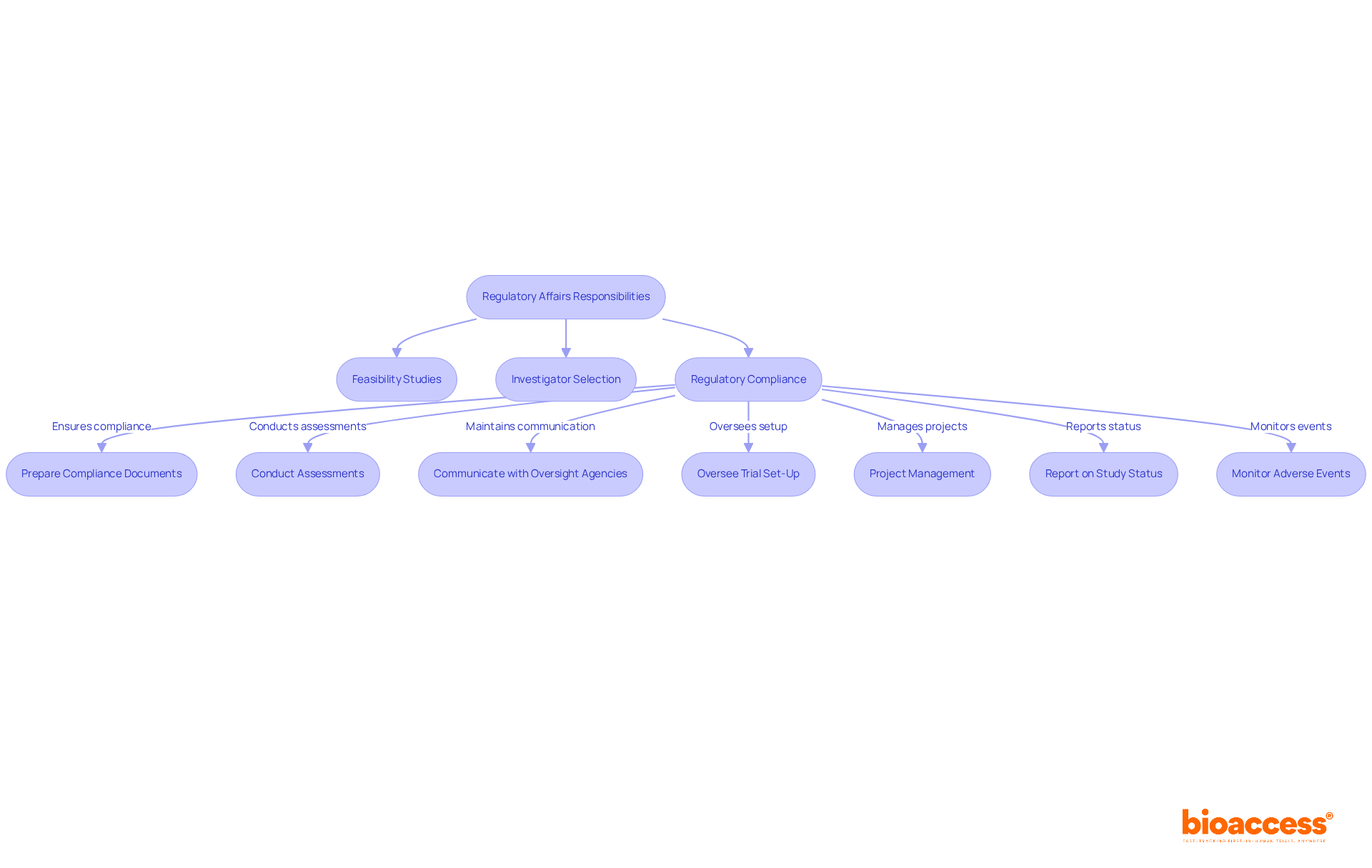 Each box represents a key responsibility in the regulatory process. Follow the arrows to see how these tasks connect and contribute to compliance in the pharmaceutical industry.