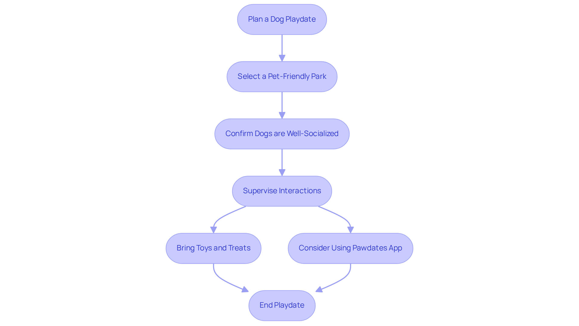 Follow the arrows to see how to organize a fun and safe playdate for your dog. Each step is important to ensure a positive experience for both pets and their owners.