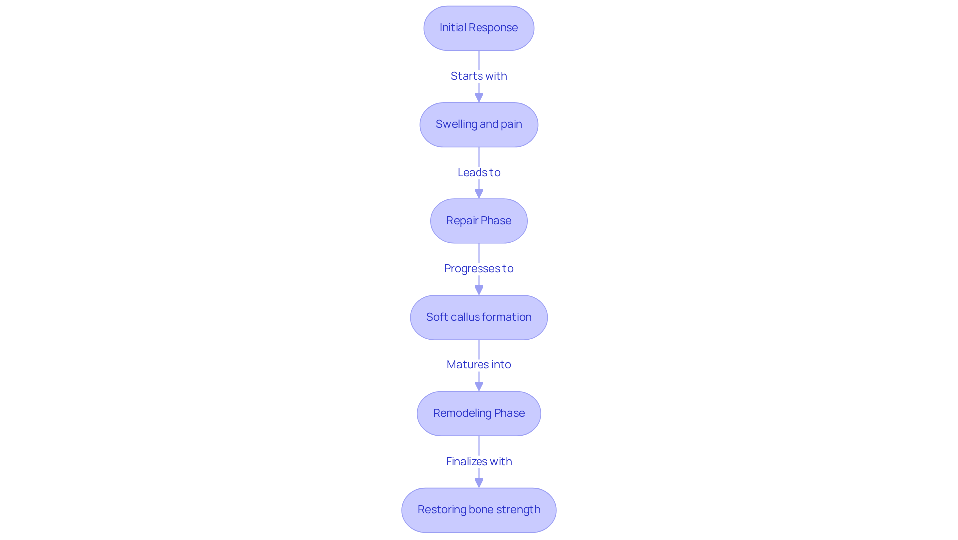 This flowchart shows the journey of healing from a wrist fracture. Each box represents a phase in the recovery process, with arrows indicating how one phase leads to the next. The descriptions help you understand what happens during each stage, making it easier to grasp the overall healing journey. This flowchart shows the journey of healing from a wrist fracture. Each box represents a phase in the recovery process, with arrows indicating how one phase leads to the next. The descriptions help you understand what happens during each stage, making it easier to grasp the overall healing journey.