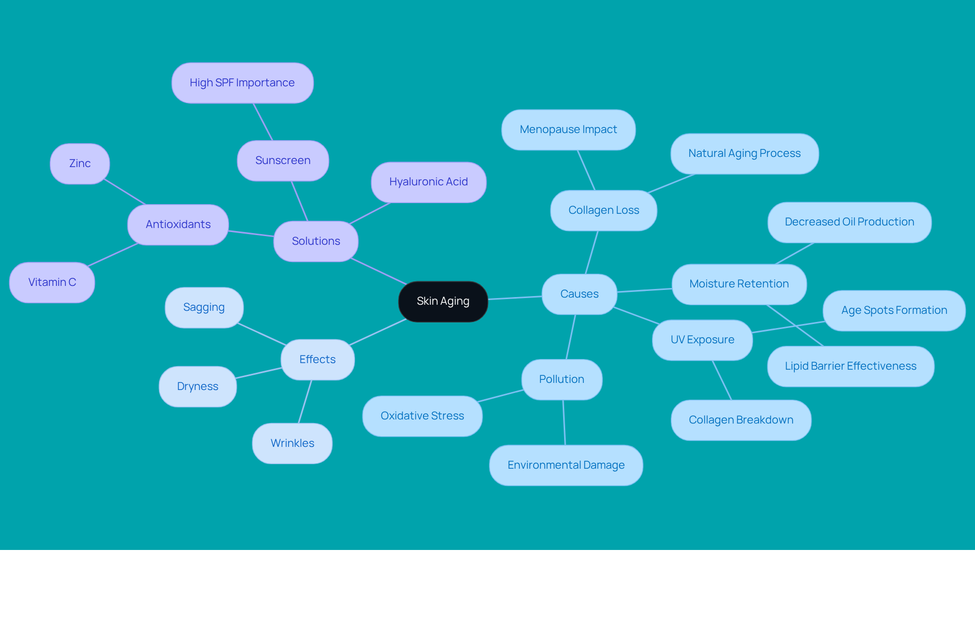 The center represents skin aging, with branches showing what causes it, how it affects us, and what we can do to help. Each color-coded branch helps you see the connections and make informed choices for your skincare.