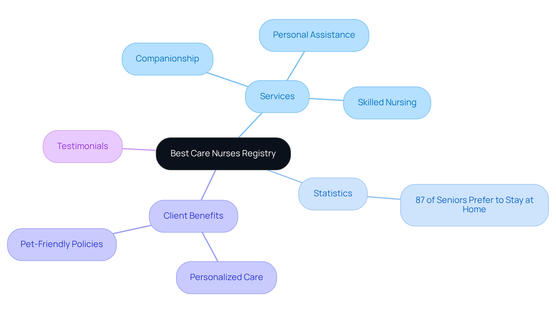 Start at the center with Best Care Nurses Registry, then explore the branches to discover various services, important statistics about seniors’ preferences, and the benefits our clients receive.
