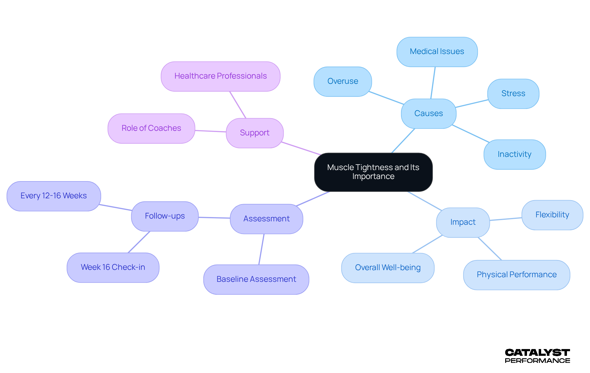 The center represents muscle tightness, and the branches show related topics. Each branch helps you explore causes, impacts, assessment methods, and support systems, making it easier to understand the overall picture.