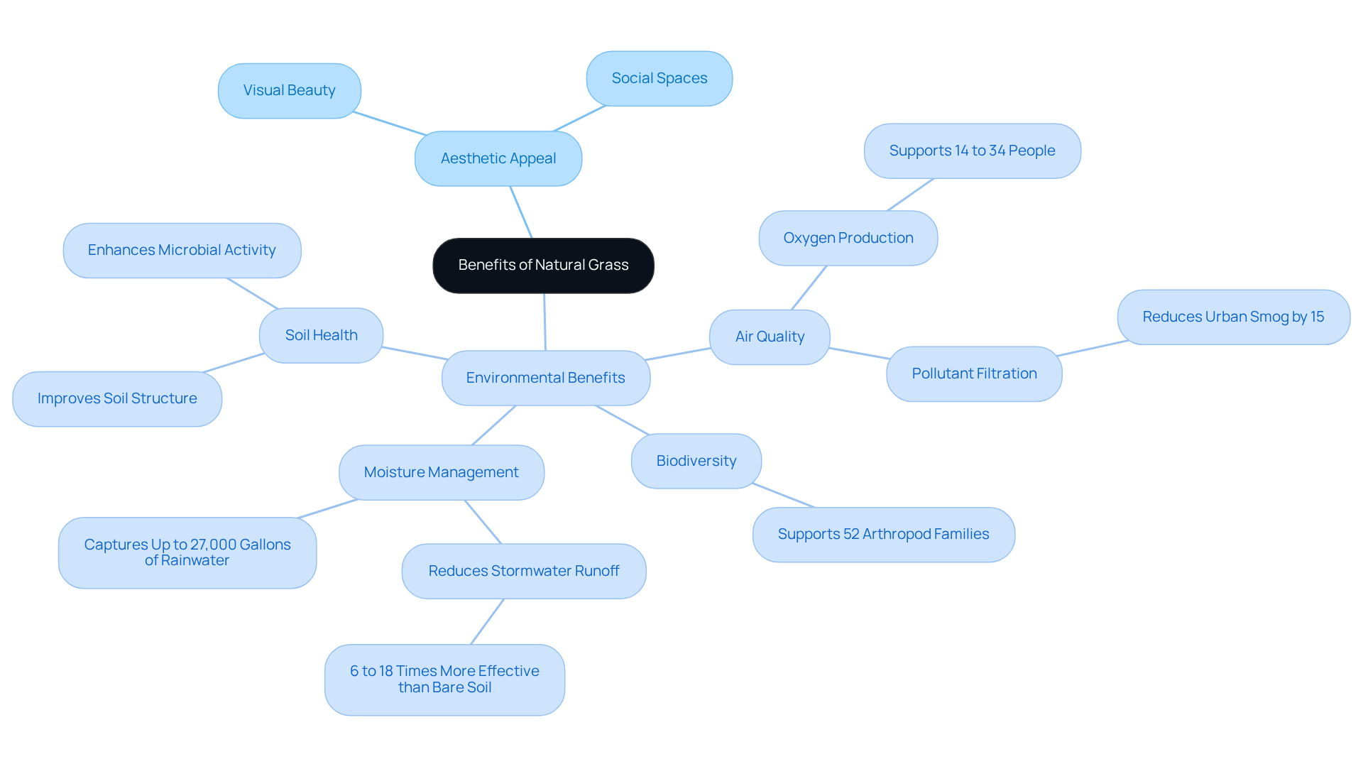 The central node represents the overall benefits of natural grass, with branches showing different aspects. Each sub-branch highlights specific advantages, making it easy to understand how they contribute to both beauty and environmental health.
