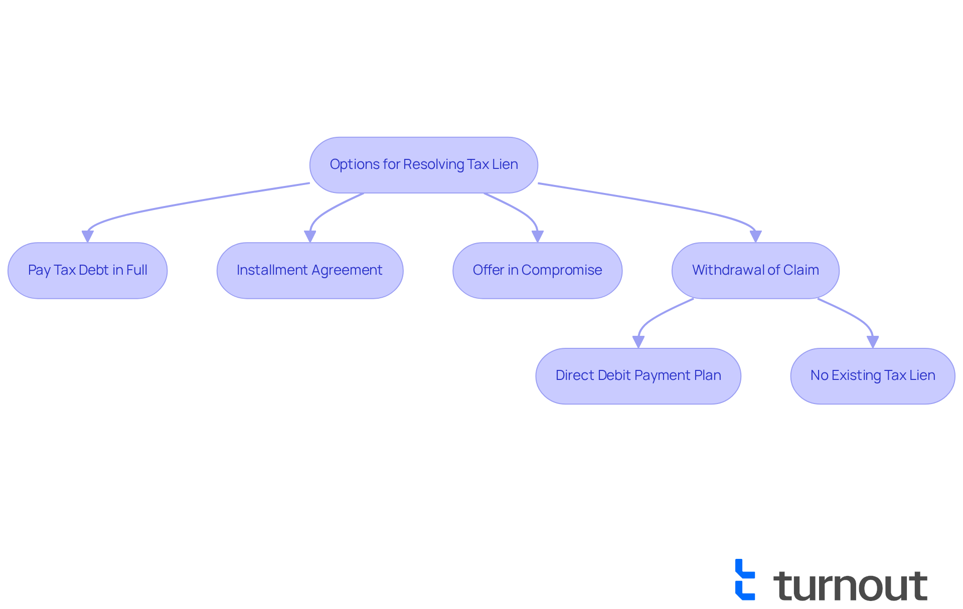 This flowchart presents different paths you can take to resolve a tax lien. Follow the arrows to see what each option requires — it’s a visual guide to help you choose the right path for your situation.