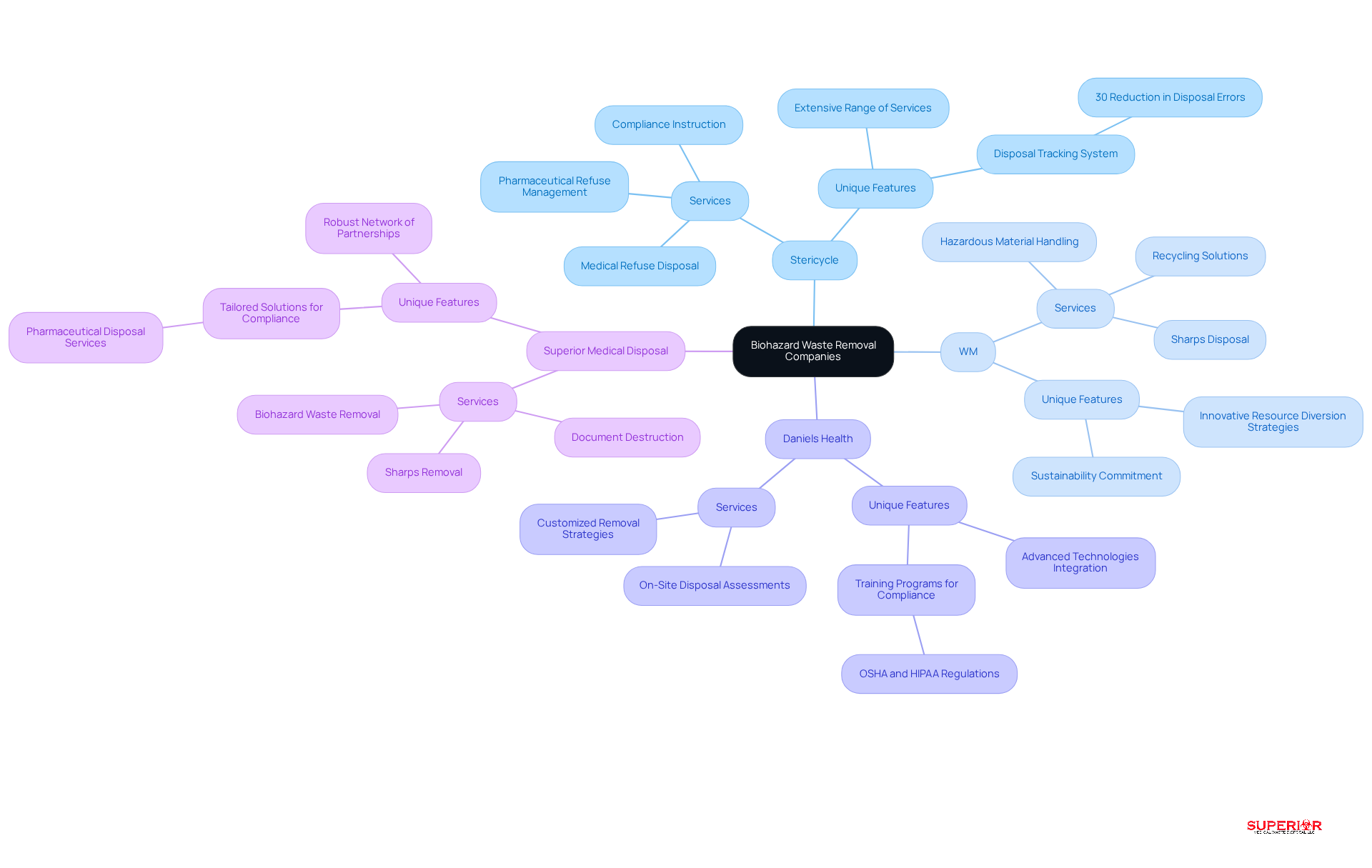 The central node represents the overall topic, while each branch shows a different company. Sub-branches detail their specific services and strengths, helping you see how they compare at a glance.