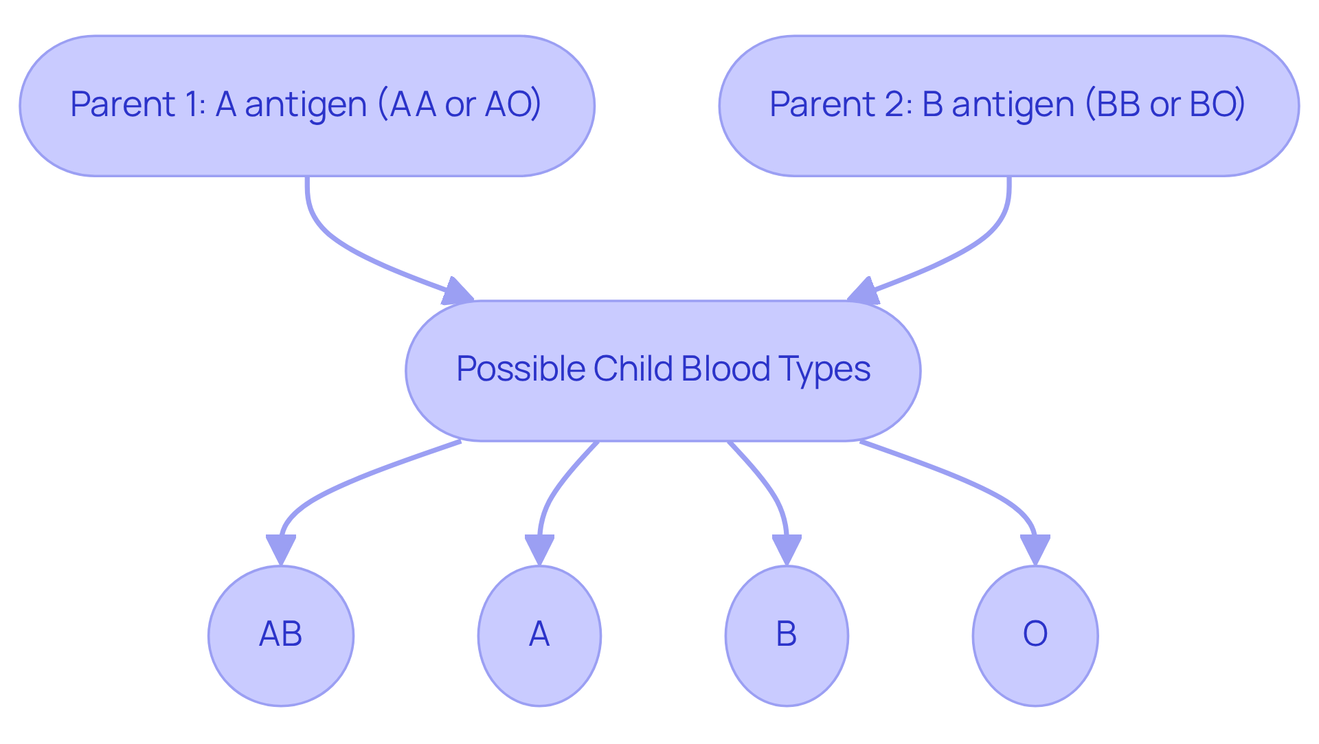 This flowchart shows how the blood types of children can be determined based on the alleles inherited from their parents. Follow the arrows to see how different combinations of parental genotypes lead to specific blood types.