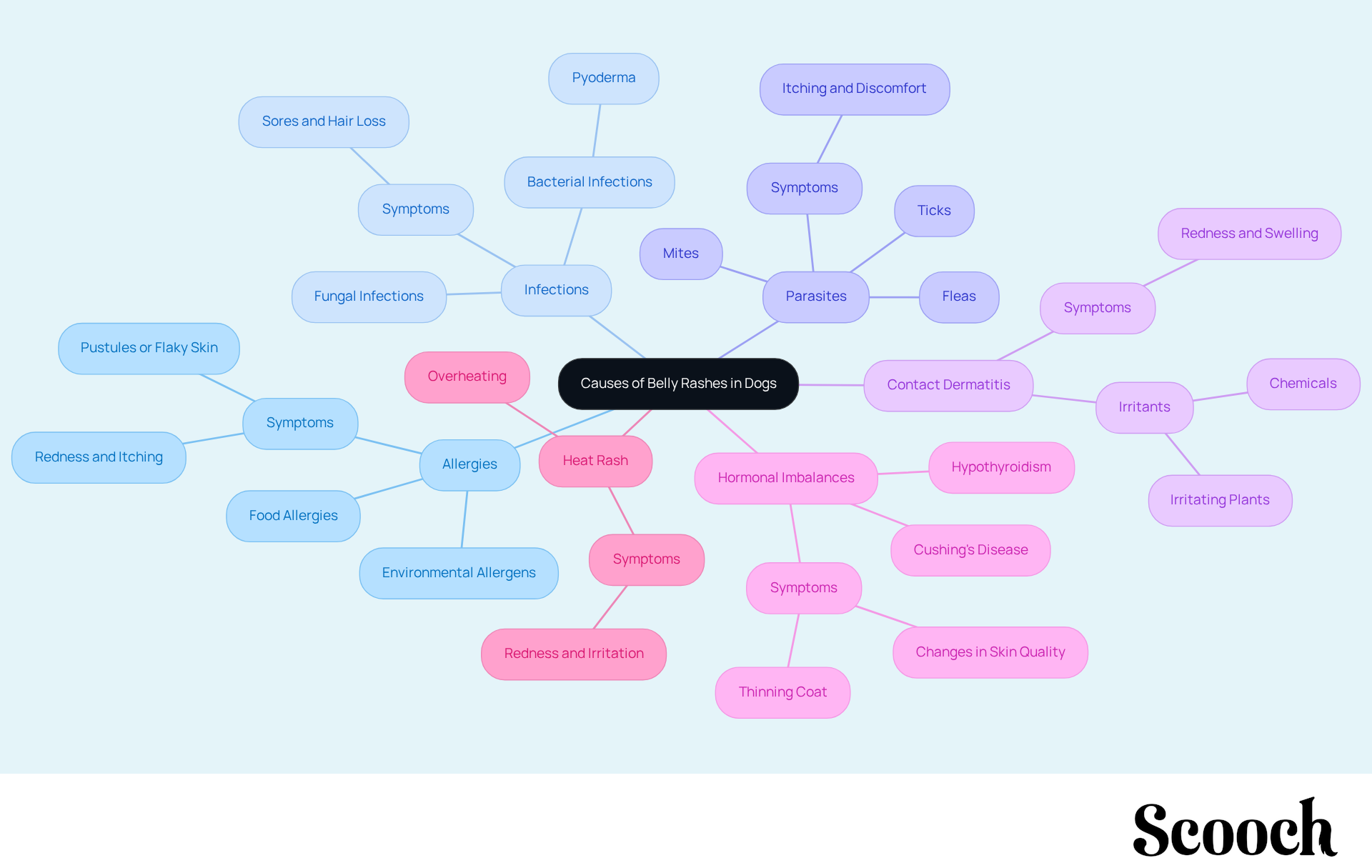 The central node represents the main topic, while the branches show different causes. Each branch can be explored to learn more about specific issues affecting your dog's skin health. The central node represents the main topic, while the branches show different causes. Each branch can be explored to learn more about specific issues affecting your dog's skin health.