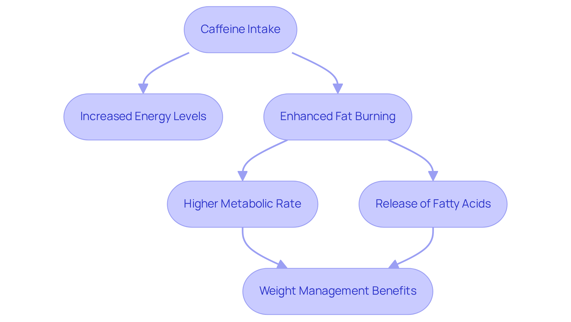 Follow the arrows to see how caffeine intake leads to increased energy and fat burning, ultimately contributing to weight management benefits. Each step shows how caffeine works in the body and the positive outcomes associated with its consumption.