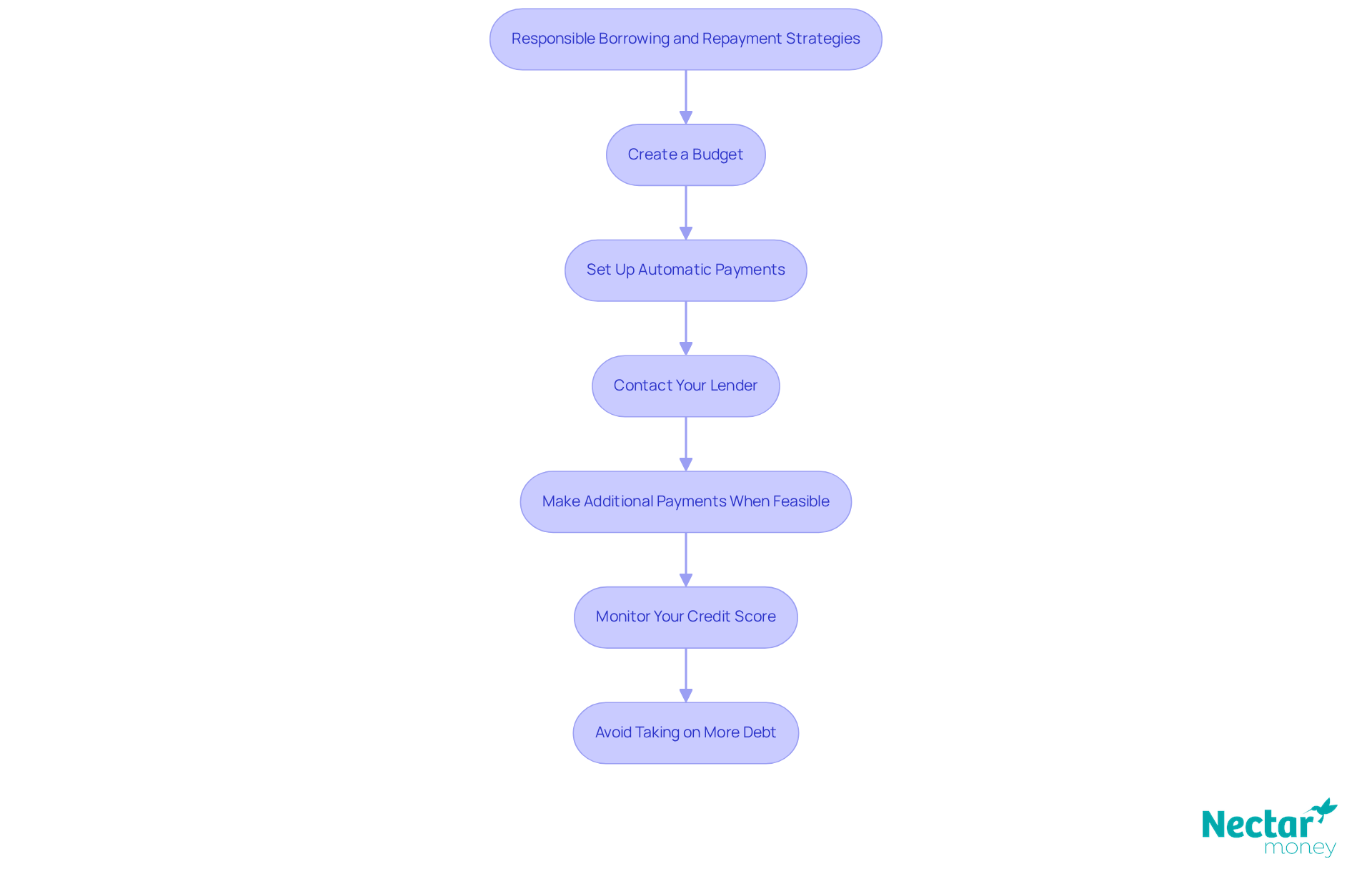 Each step in the flowchart guides you through the strategies for responsible borrowing. Follow the arrows to see how to manage your debt effectively and maintain financial stability.