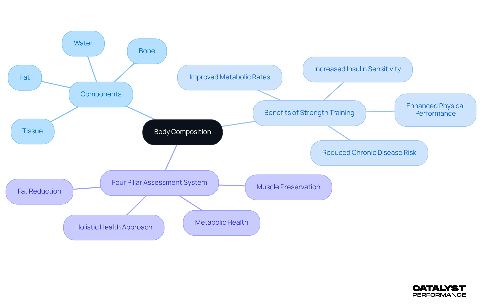 Start at the center with 'Body Composition', then explore the branches to see its components, benefits of strength training, and the assessment system. Each branch represents a key aspect of how body composition impacts health and fitness. Start at the center with 'Body Composition', then explore the branches to see its components, benefits of strength training, and the assessment system. Each branch represents a key aspect of how body composition impacts health and fitness.