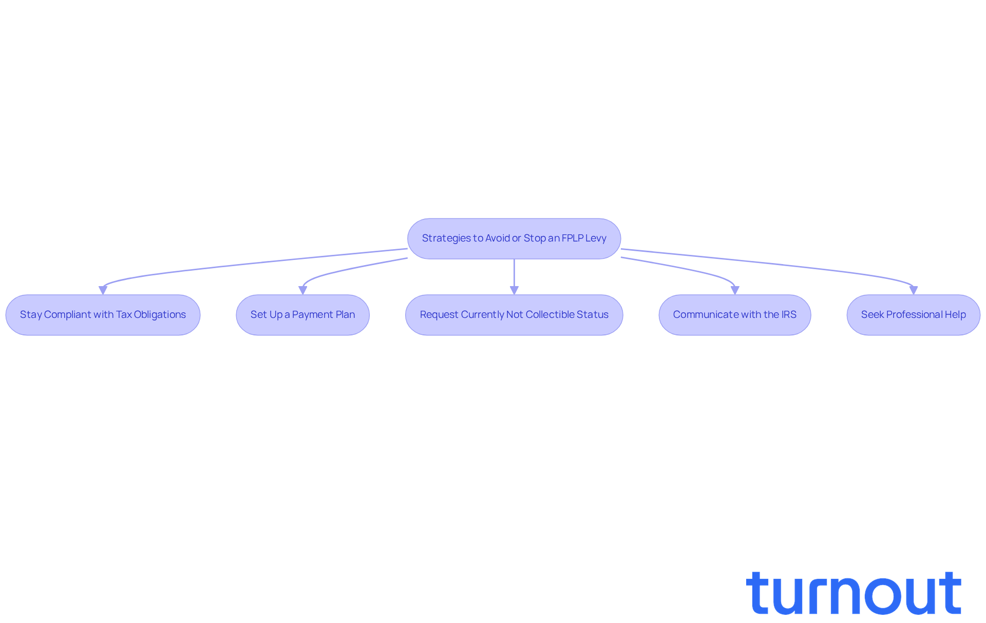 Each box represents a strategy you can take to protect your income from being levied. Follow the arrows to see the steps you can take, starting from compliance to seeking professional help. Each box represents a strategy you can take to protect your income from being levied. Follow the arrows to see the steps you can take, starting from compliance to seeking professional help.