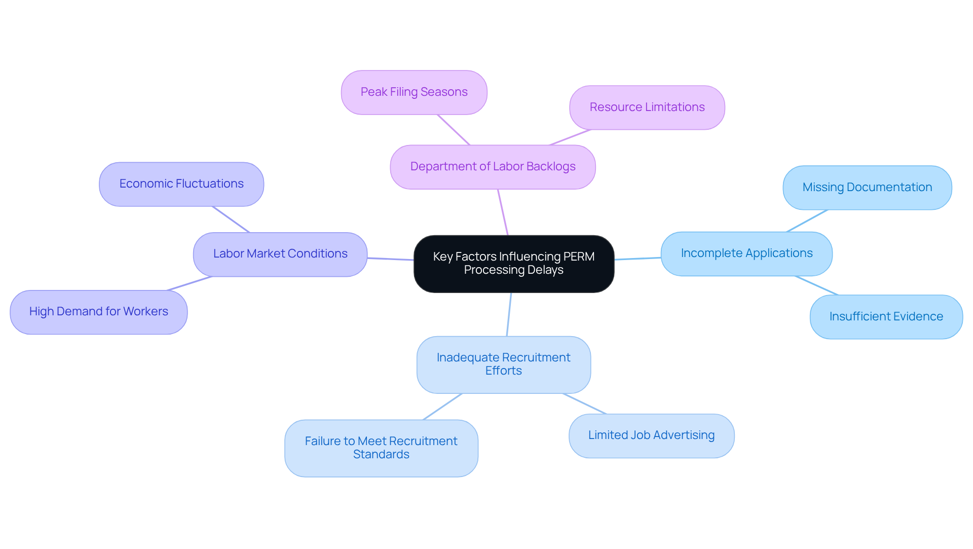 At the center is the main issue of delays, with branches that show each key factor. The more branches you see, the more contributors there are to the delays experienced in the PERM process.