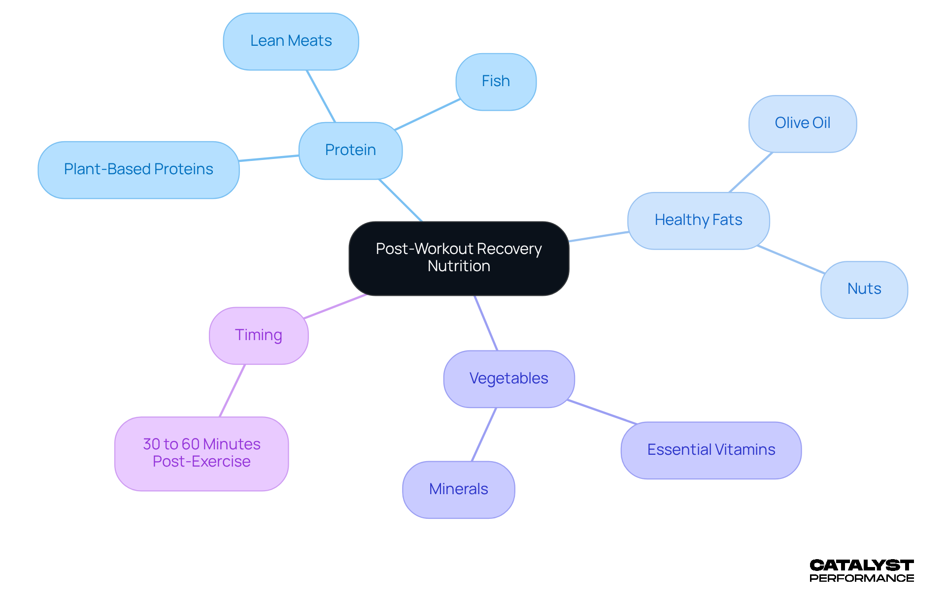 This mindmap shows how to fuel your body after a workout. Start at the center with the main idea, then explore each branch to discover the key components of recovery nutrition and how they support your health. This mindmap shows how to fuel your body after a workout. Start at the center with the main idea, then explore each branch to discover the key components of recovery nutrition and how they support your health.