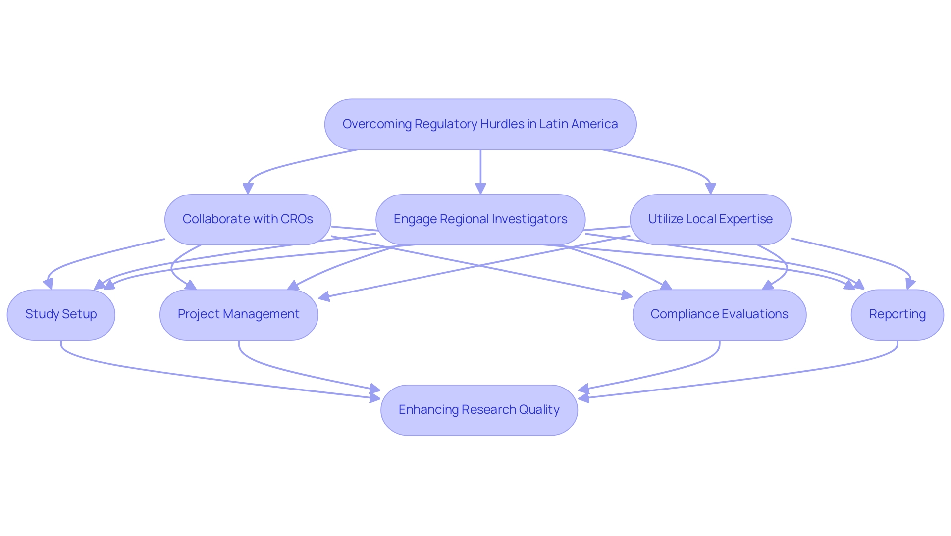 The flowchart illustrates the steps taken to overcome regulatory hurdles, with arrows showing the progression from collaboration with CROs and regional investigators to enhancing research quality.