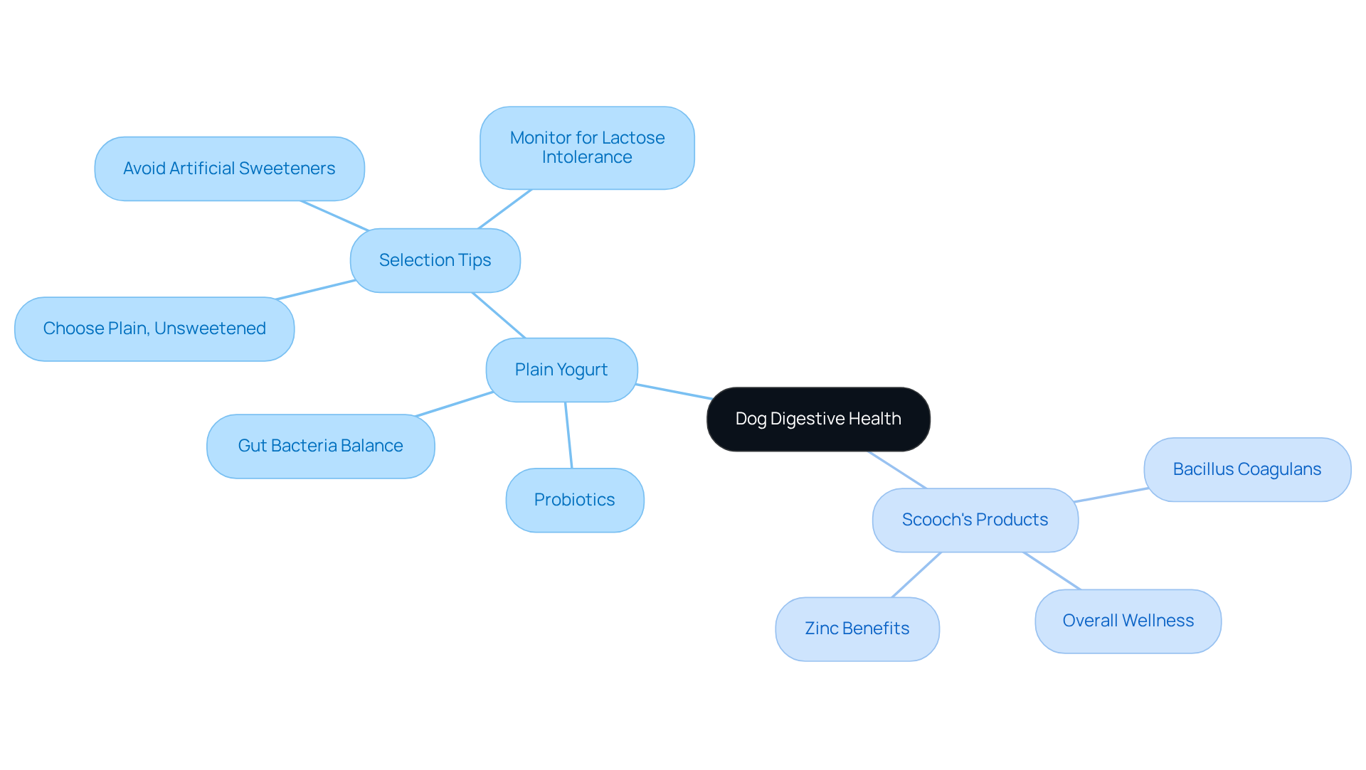 The center represents the overall theme of digestive health for dogs. Each branch shows specific areas of focus, like the benefits of yogurt and other supplements, helping you understand how they contribute to your dog's well-being.