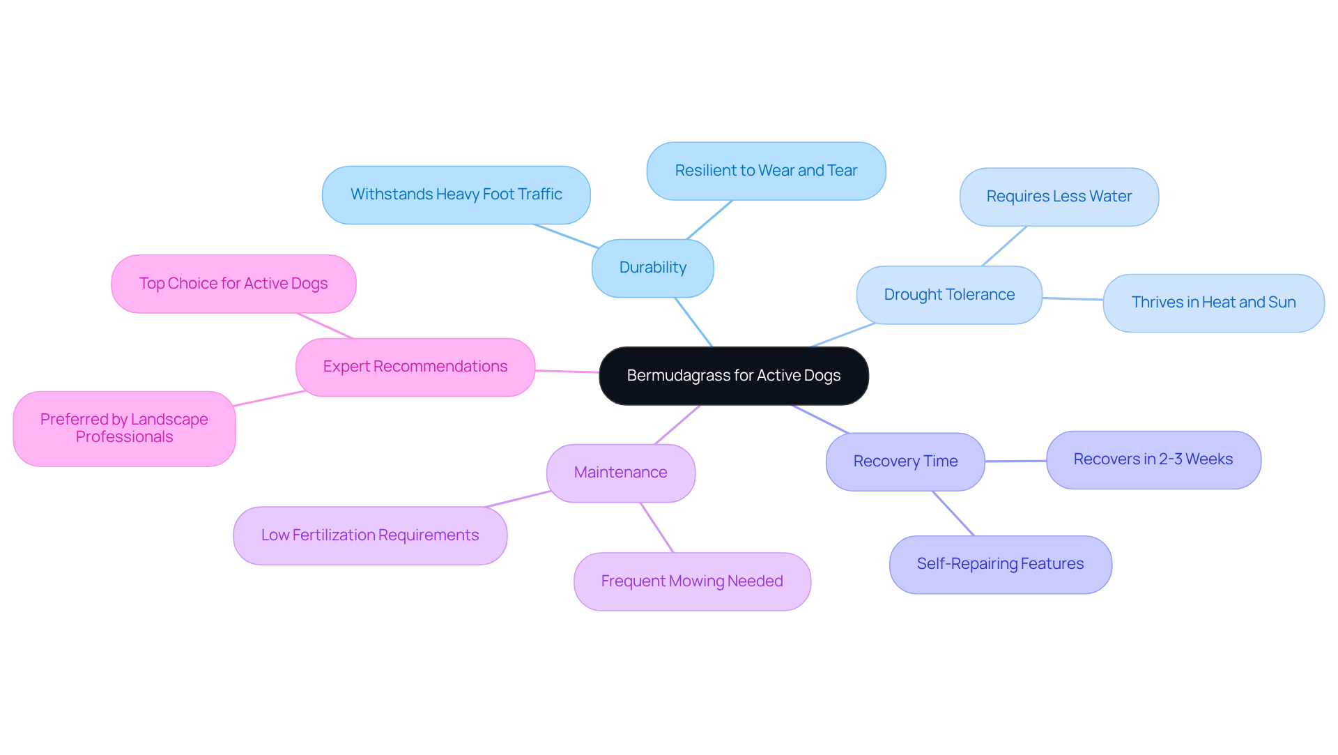This mindmap illustrates the advantages of choosing Bermudagrass for your lawn. Each branch represents a key benefit, and the sub-branches provide more details. Follow the branches to understand how Bermudagrass can meet the needs of active pets while keeping your yard looking great. This mindmap illustrates the advantages of choosing Bermudagrass for your lawn. Each branch represents a key benefit, and the sub-branches provide more details. Follow the branches to understand how Bermudagrass can meet the needs of active pets while keeping your yard looking great.