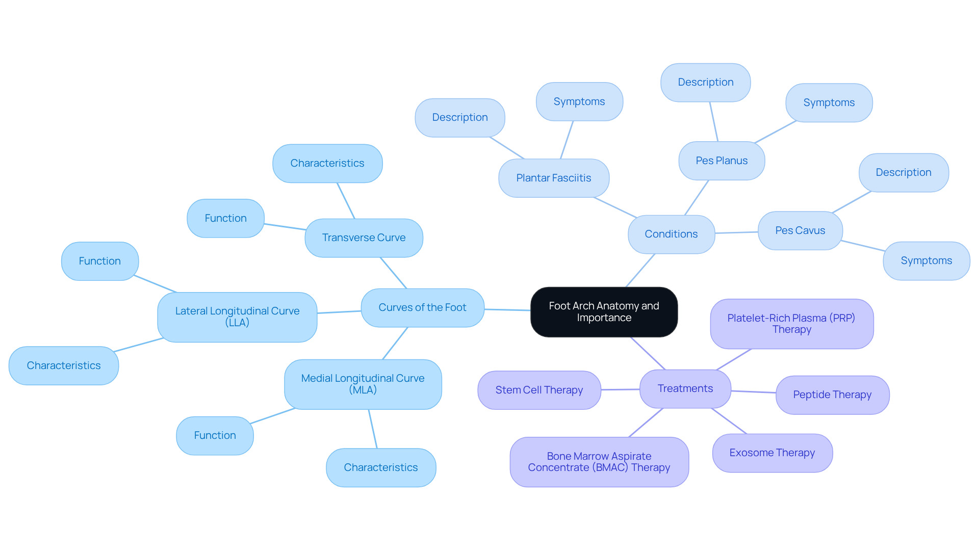 This mindmap illustrates the key components of foot arch anatomy. Start at the center with the main topic, then explore the branches to see how the curves relate to various conditions and treatments. Each branch represents a different aspect of foot health, helping you understand the connections between structure and function. This mindmap illustrates the key components of foot arch anatomy. Start at the center with the main topic, then explore the branches to see how the curves relate to various conditions and treatments. Each branch represents a different aspect of foot health, helping you understand the connections between structure and function.