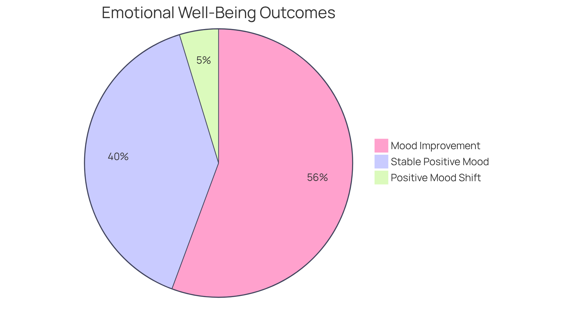 Each slice of the pie shows how much each outcome contributes to the overall emotional well-being of participants - the larger the slice, the more significant the impact.