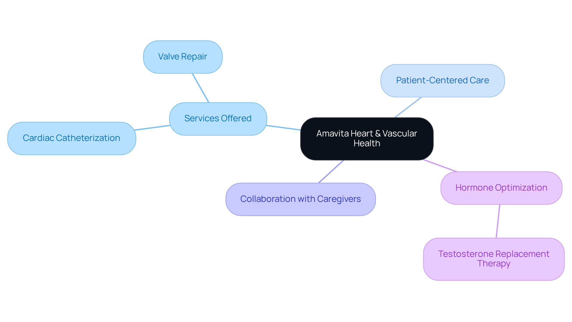 This mindmap illustrates how Amavita Heart & Vascular Health approaches elderly heart health. Start at the center with the main focus, then explore the branches to see the various services and philosophies that support heart health for elderly patients.