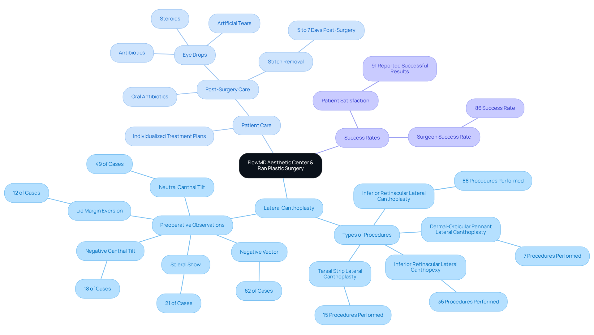 The central node represents the clinic, while branches show different aspects of their services and patient care. Each branch highlights important information, such as success rates and types of procedures, making it easy to see how everything connects.
