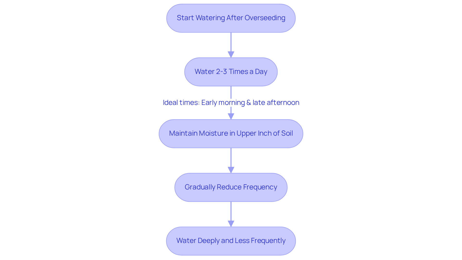 Follow the arrows to see how to water your lawn after overseeding. Start with frequent watering, then adjust as your grass grows stronger. Follow the arrows to see how to water your lawn after overseeding. Start with frequent watering, then adjust as your grass grows stronger.