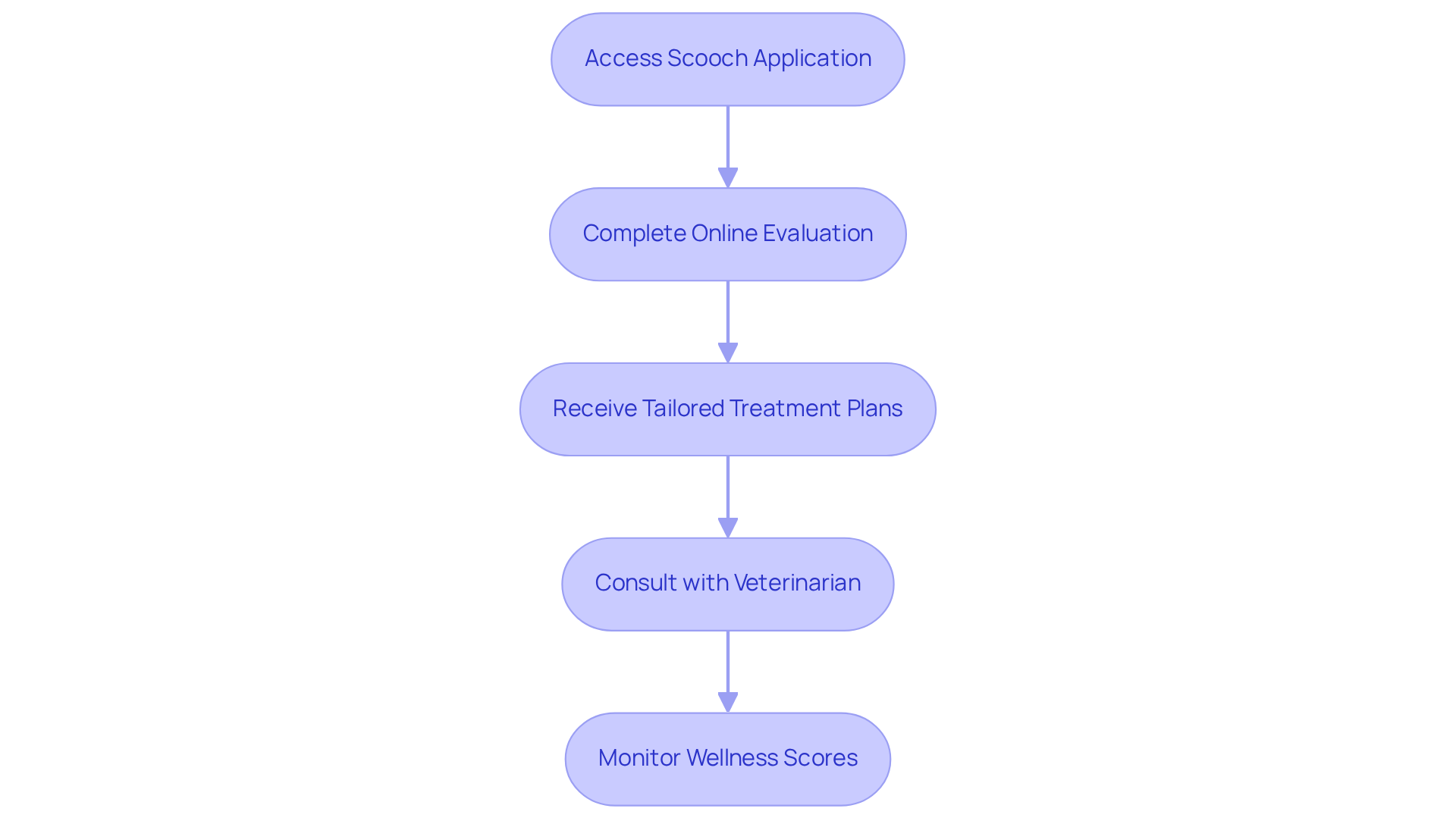 Follow the arrows to see how you can use the Scooch app to get veterinary help for your dog — each box shows a step, from starting the app to monitoring your pet's health.