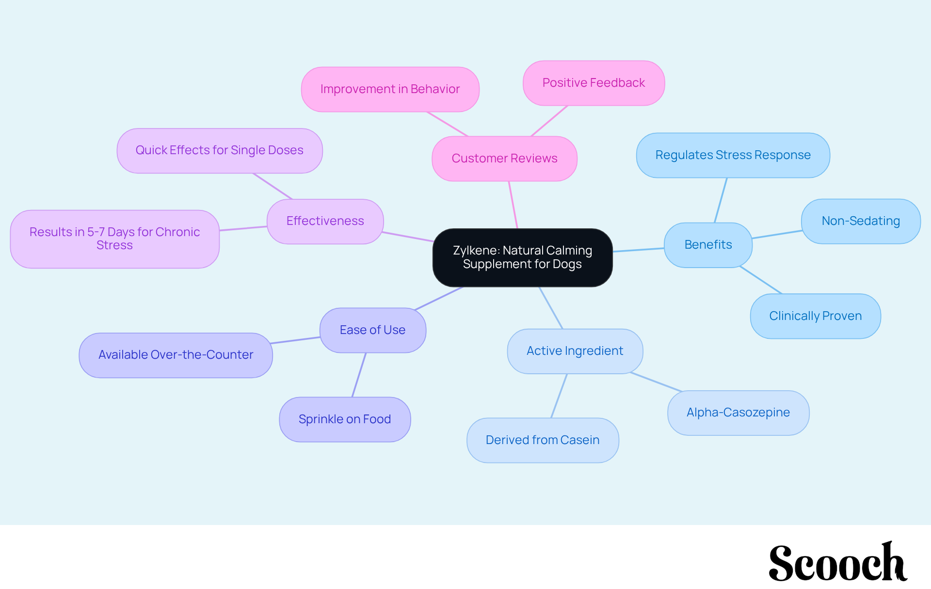The center represents Zylkene, and the branches show its benefits, how it works, and what users say. Each color-coded branch helps you quickly find information about this calming supplement.