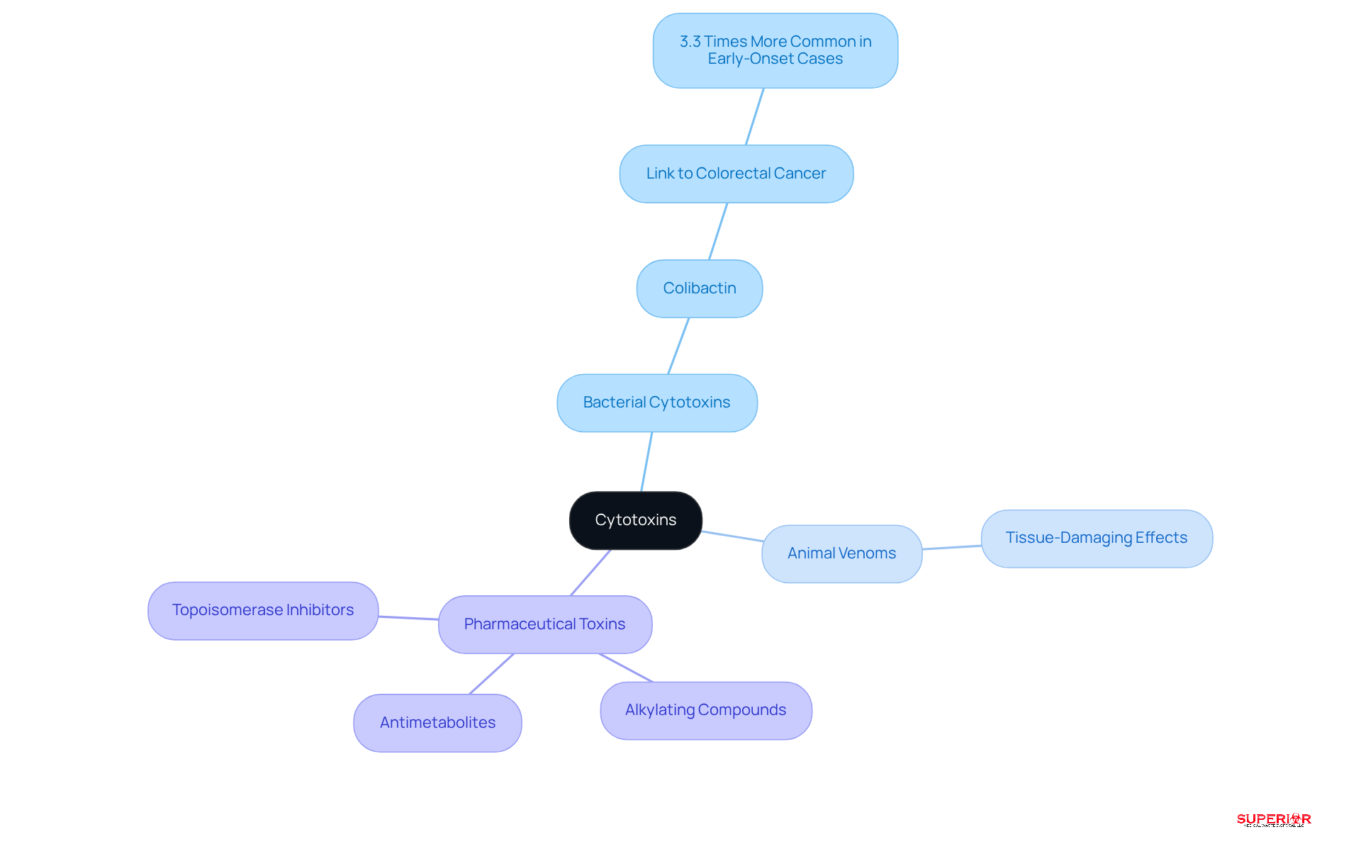 This mindmap starts with the central idea of cytotoxins and branches out into different types. Each branch represents a category of cytotoxins, and the sub-branches provide specific examples or details about their functions and implications. Follow the branches to understand how these toxins relate to health and disease. This mindmap starts with the central idea of cytotoxins and branches out into different types. Each branch represents a category of cytotoxins, and the sub-branches provide specific examples or details about their functions and implications. Follow the branches to understand how these toxins relate to health and disease.