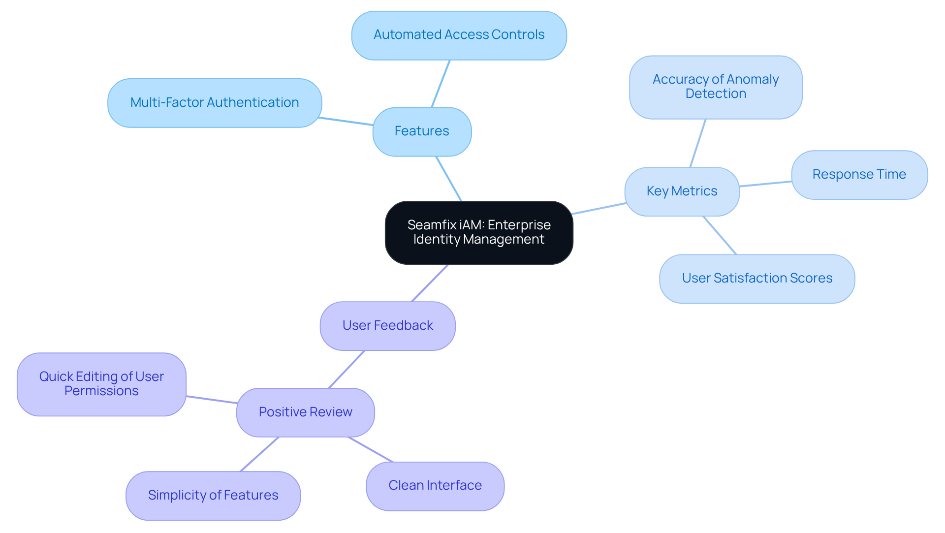 The central node represents Seamfix iAM, with branches showing its features, important metrics for evaluation, and user feedback. Each branch helps illustrate how these elements contribute to effective identity management.
