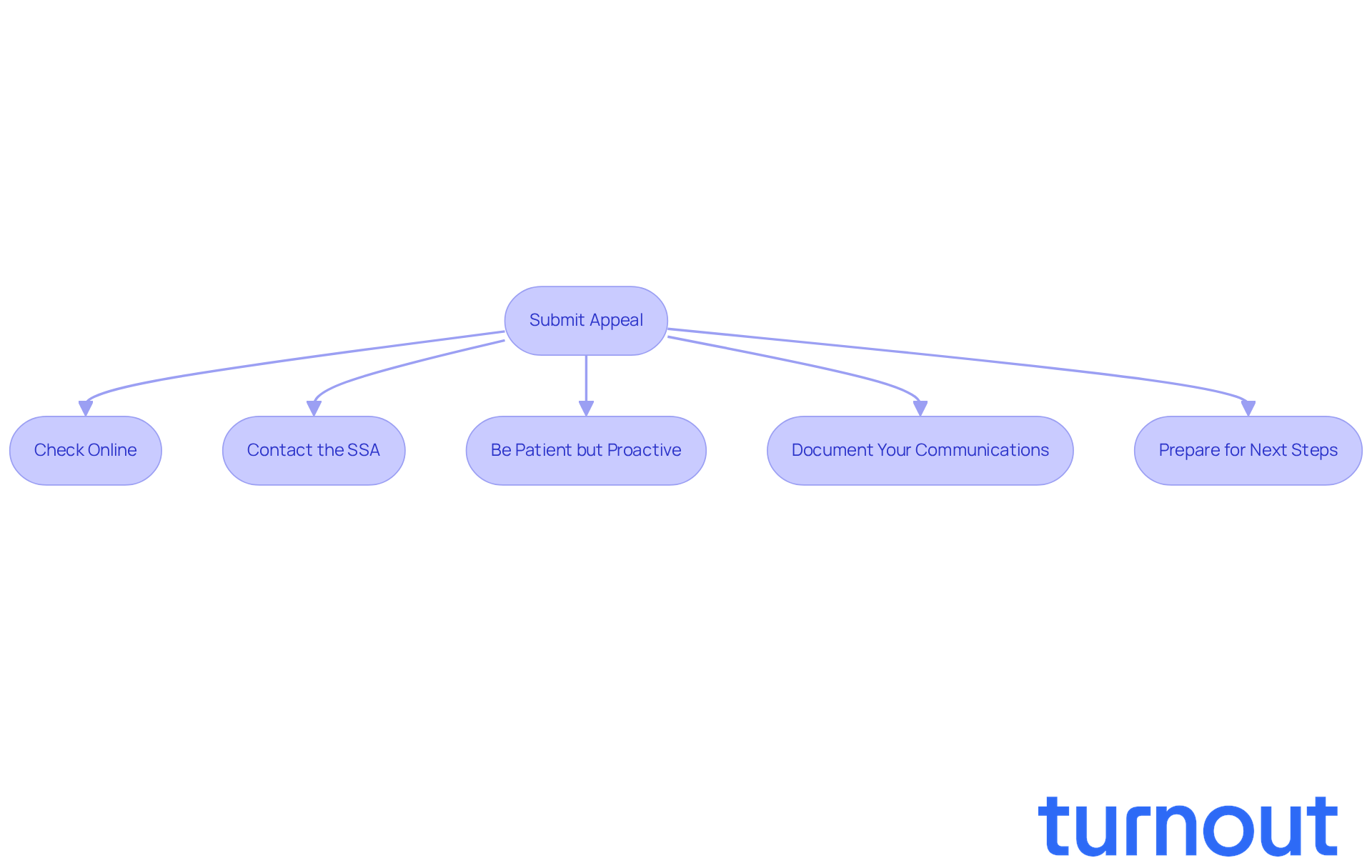 Each box represents a step you can take after submitting your appeal. Follow the arrows to see the order of actions you can take to stay informed and proactive.