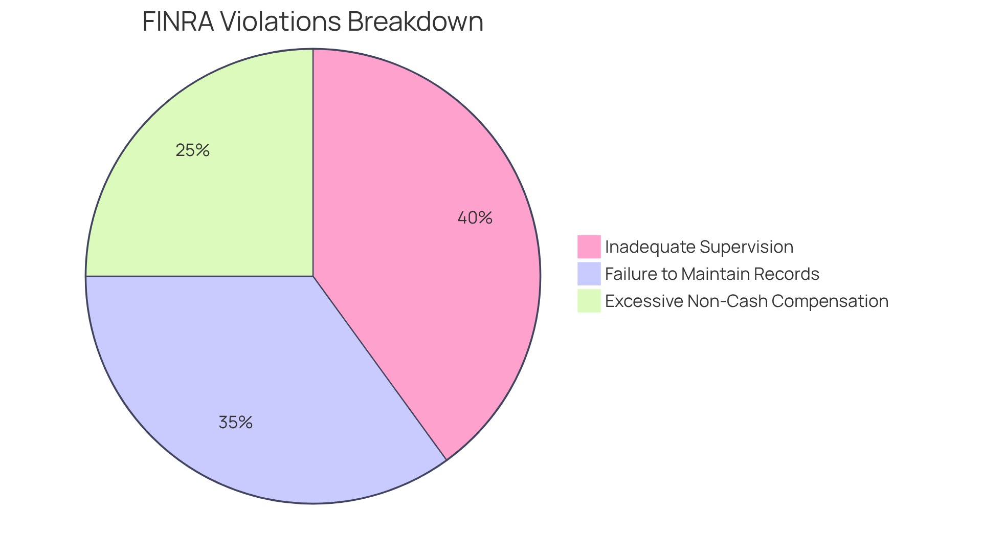 Each slice of the pie shows the proportion of total fines attributed to different violations. The larger the slice, the more significant the violation's financial impact.