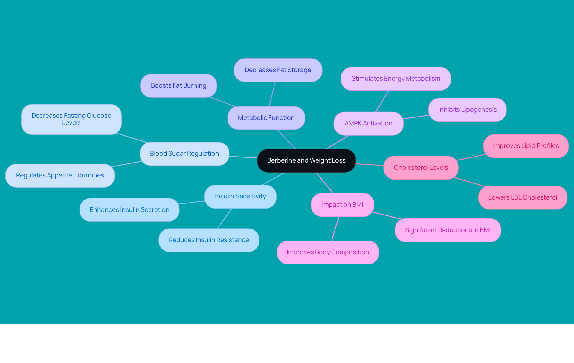 The center represents berberine, and each branch shows a different benefit or mechanism of action. The more branches you see, the more ways berberine can support weight management.