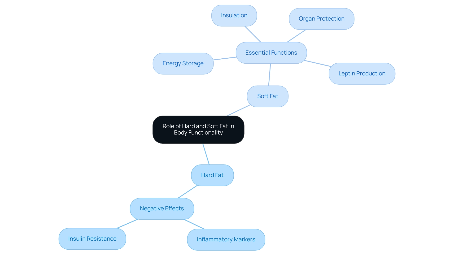 The mindmap illustrates the functions of hard and soft fat, with color coding distinguishing between their roles and impacts on health.