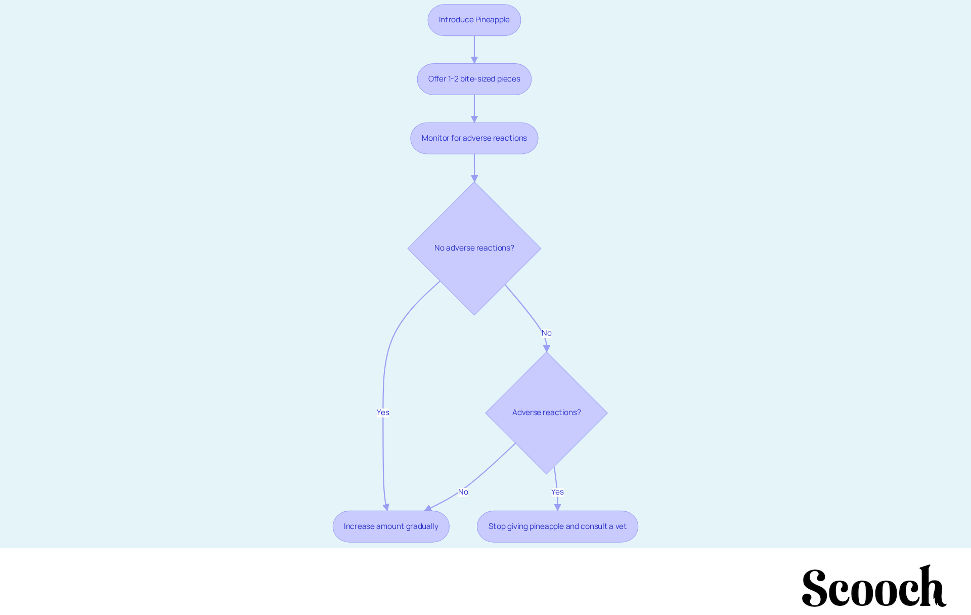 Follow the arrows to understand how to safely introduce pineapple to your dog — each step indicates what to do next based on your dog's response.