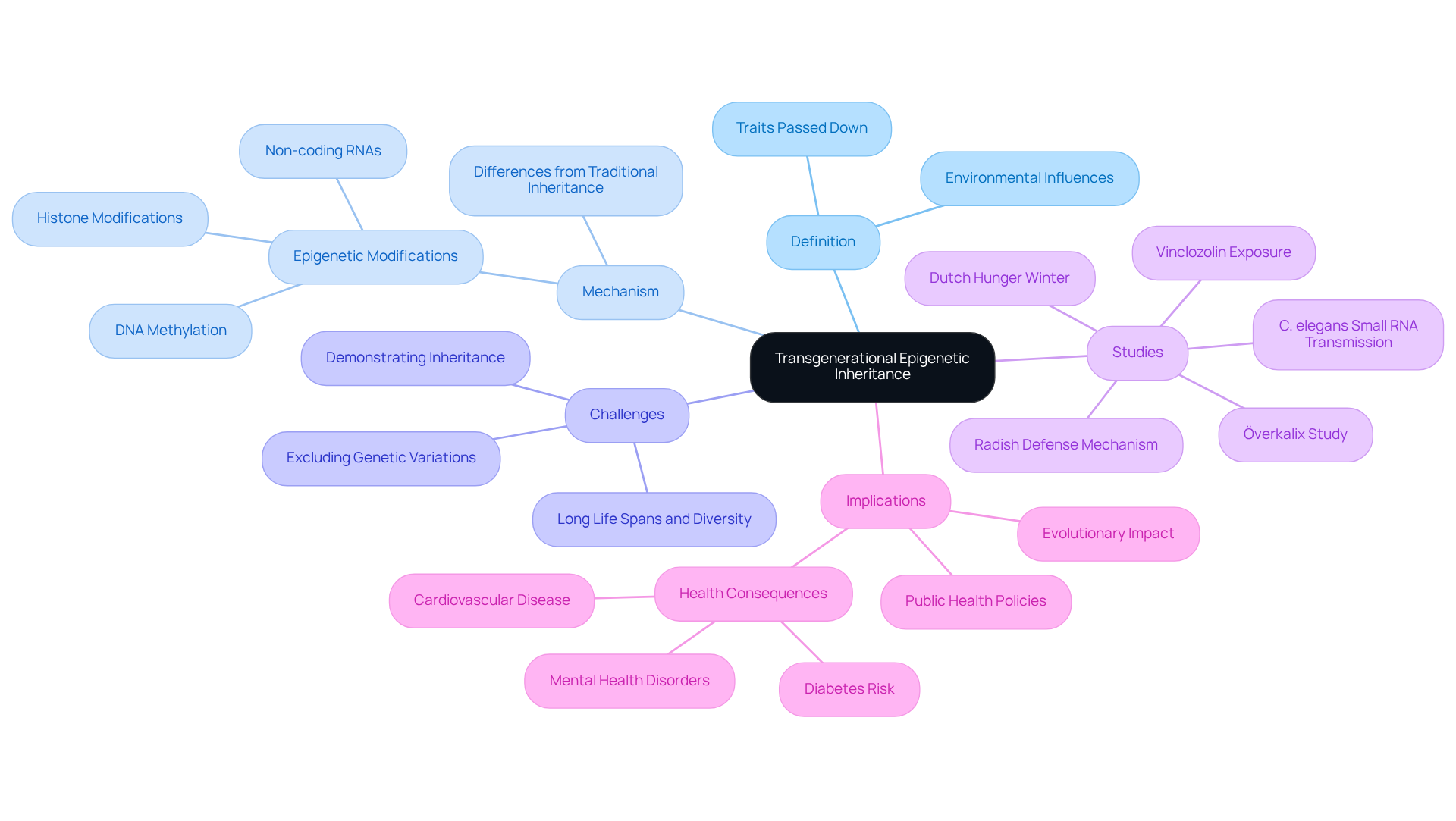 This mindmap starts with the main idea at the center and branches out to show how different aspects of transgenerational epigenetic inheritance are connected. Each branch represents a key area of understanding, making it easier to see how they relate to the central concept. This mindmap starts with the main idea at the center and branches out to show how different aspects of transgenerational epigenetic inheritance are connected. Each branch represents a key area of understanding, making it easier to see how they relate to the central concept.