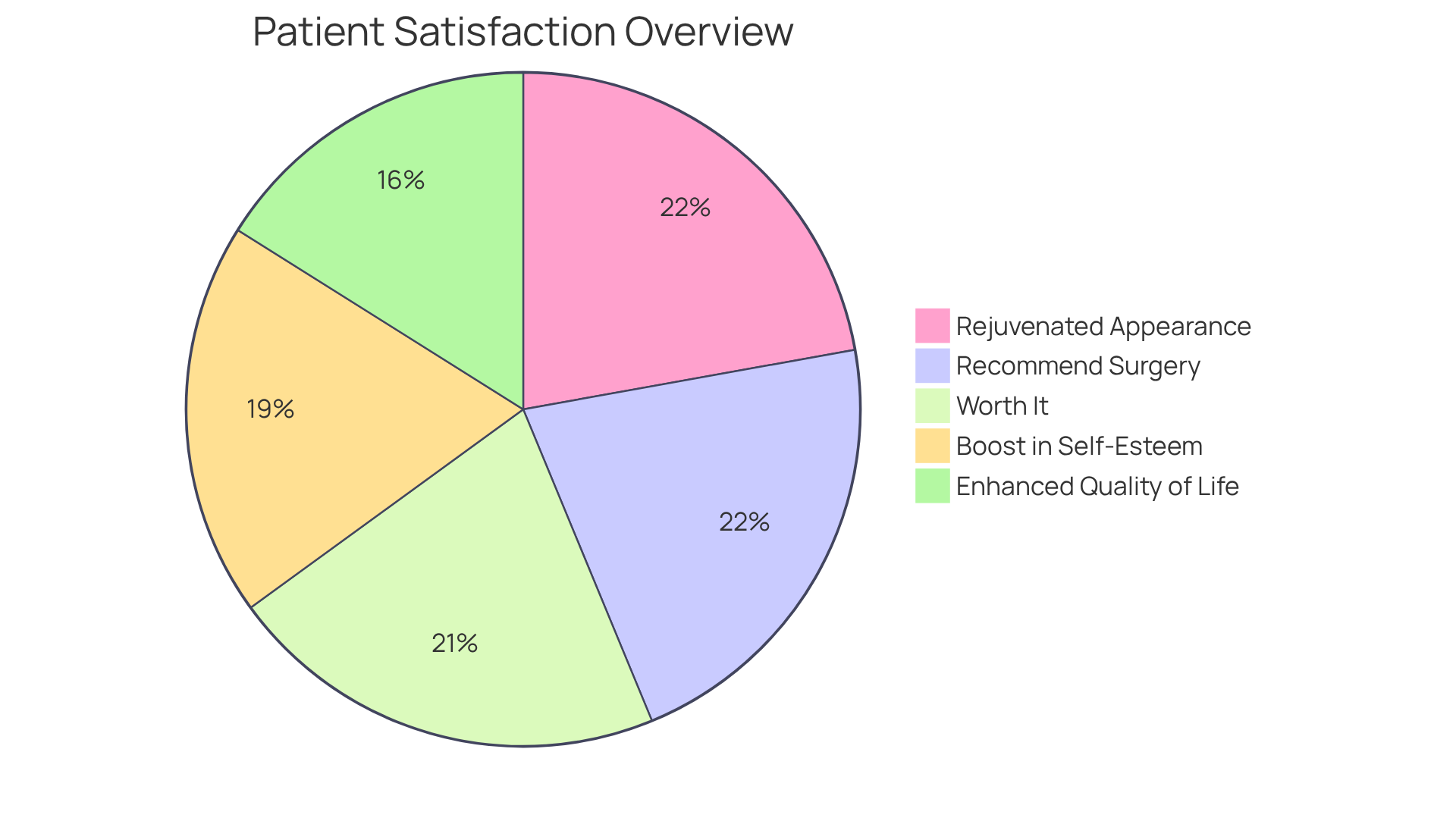 Each slice of the pie shows how many patients felt positively about different aspects of their facelift experience - the larger the slice, the more patients shared that sentiment.
